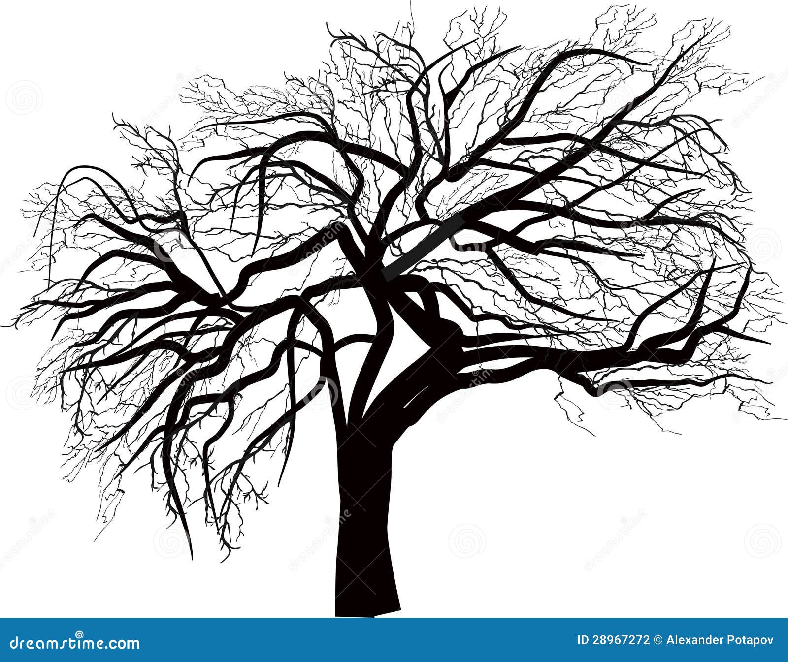 Isolated Large Bare Tree Illustration Stock Vector - Image: 28967272