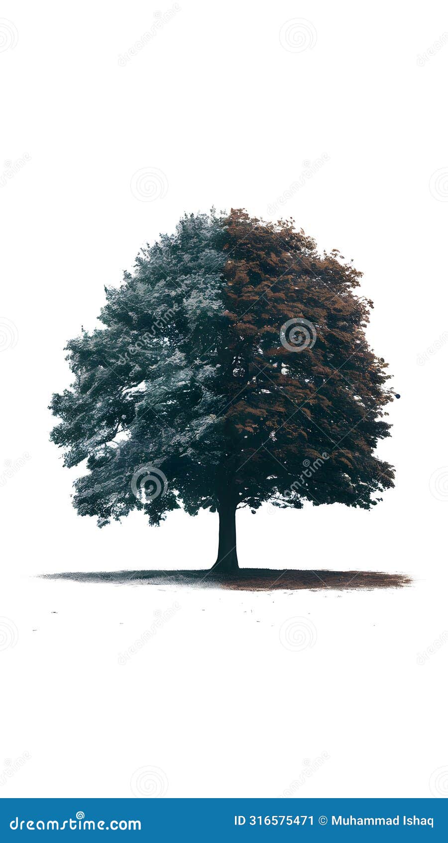 Isolated Left Tree on White Background Illustration Stock Illustration ...