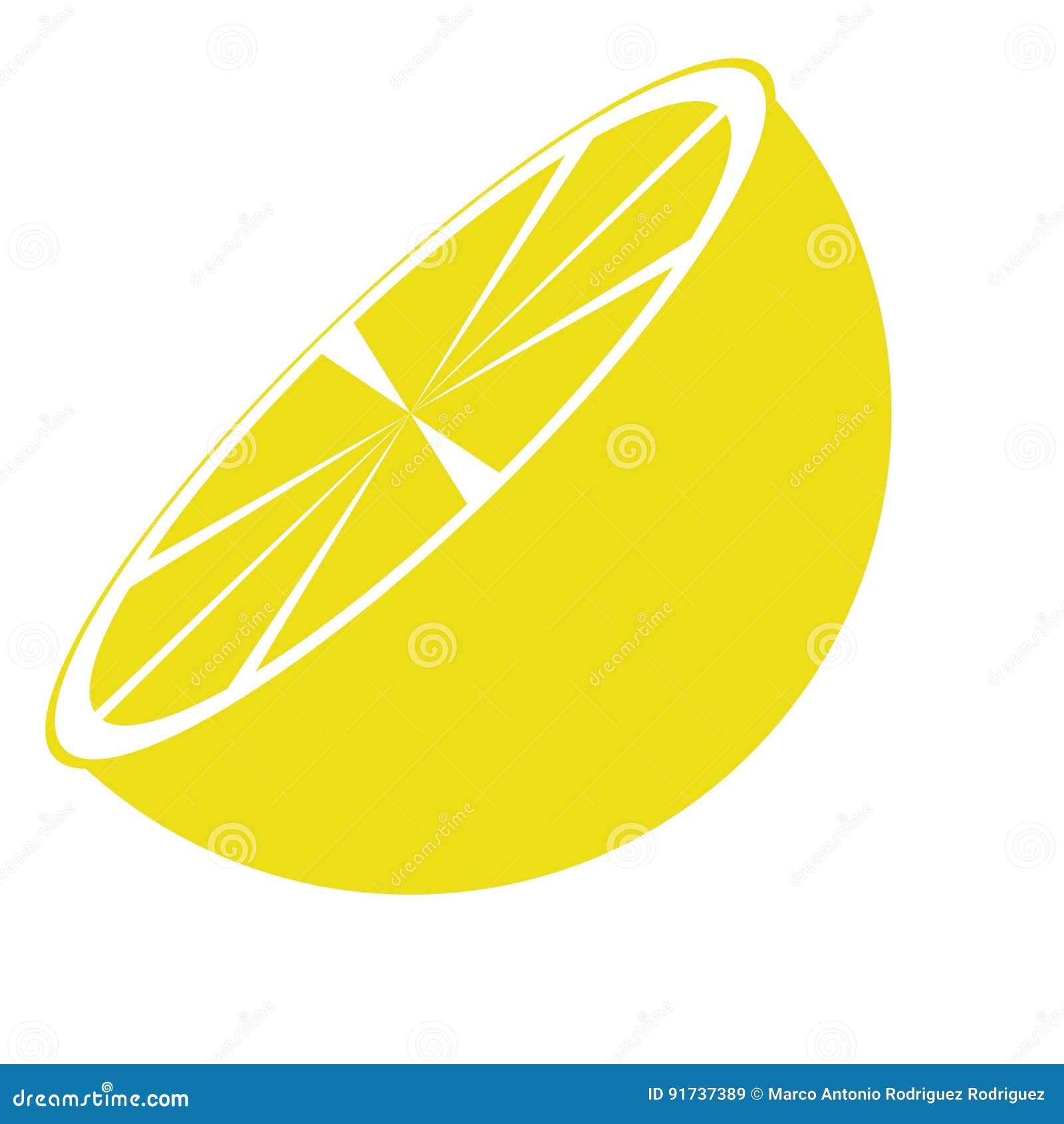 Isolated lemon cut stock vector. Illustration of fresh - 91737389