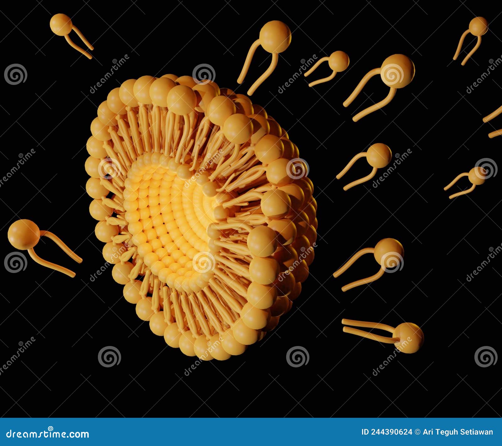 Isolated Liposomal Structure Scattered on the Black Background Stock ...