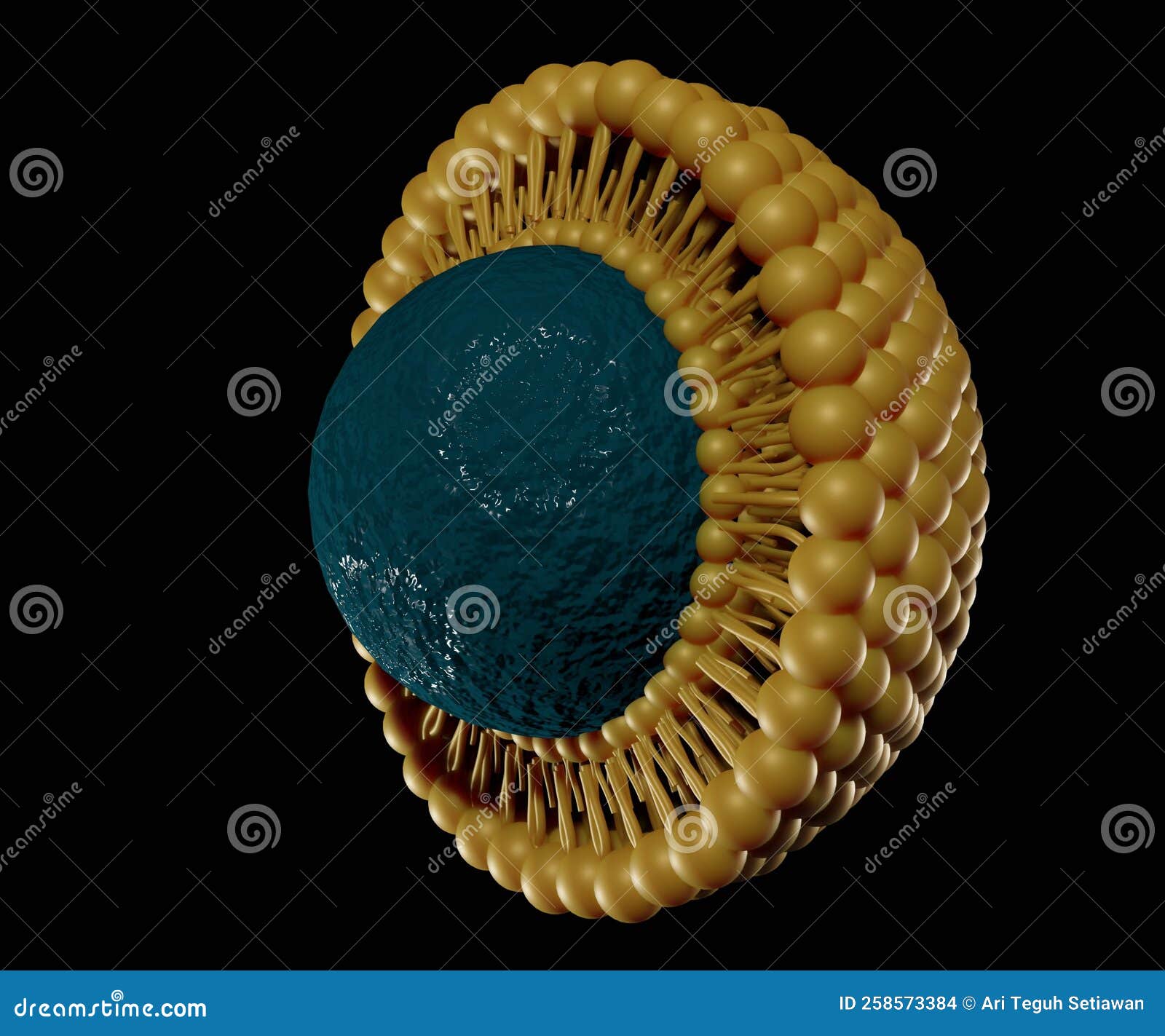Liposomes Drug Delivery System Sheme Vector Illustration ...