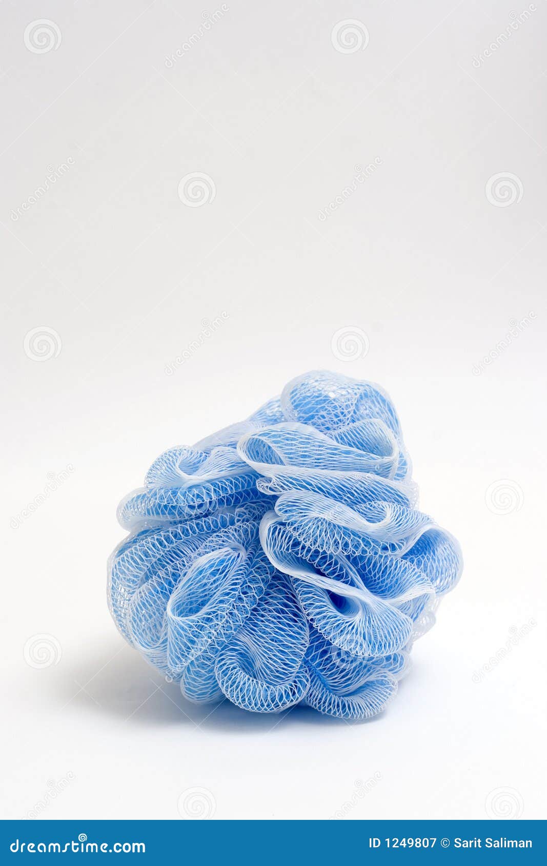 Isolated Loofah stock image. Image of algae, time, soap - 1249807