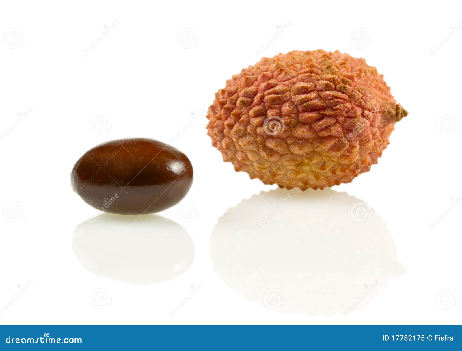 Isolated lychee with pit stock image. Image of healthy - 17782175