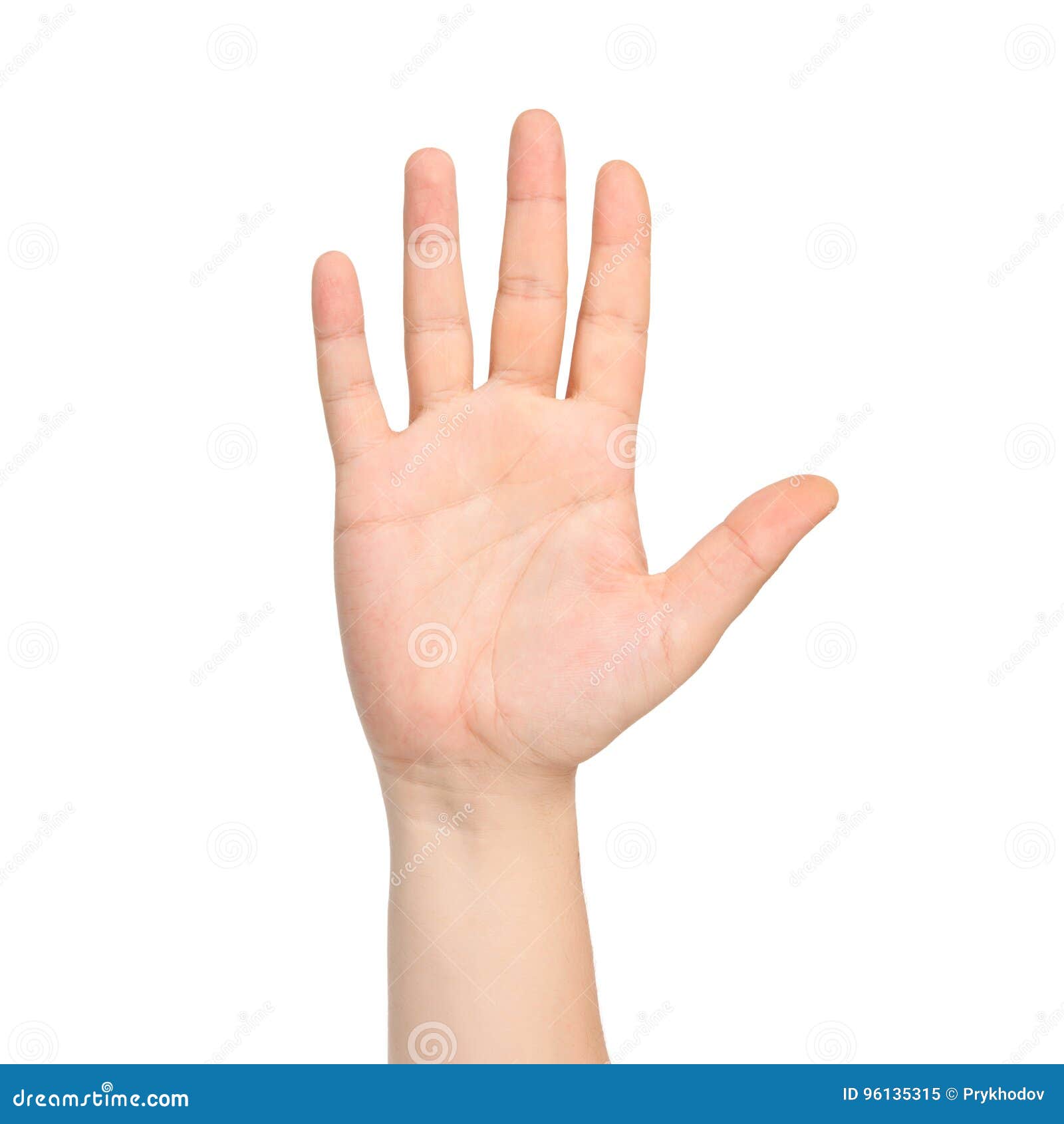 Isolated Male Hand Showing the Number Five Stock Image - Image of ...