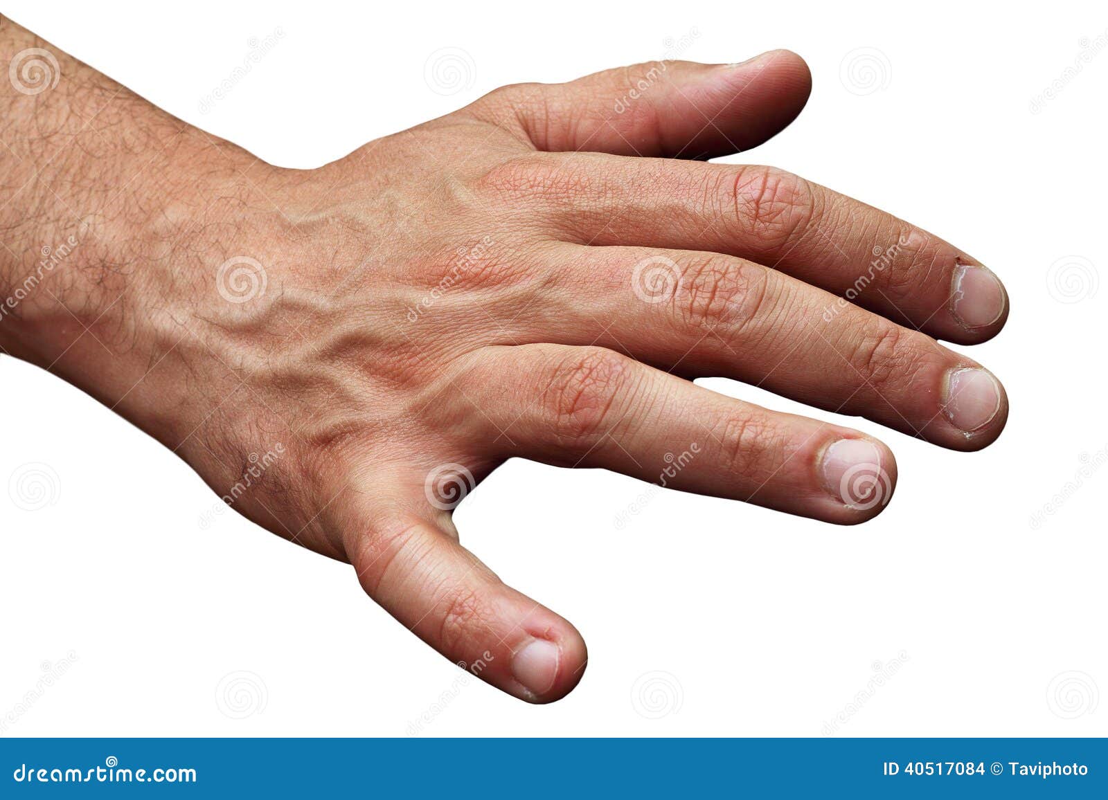 Isolated male human hand stock photo. Image of finger - 40517084