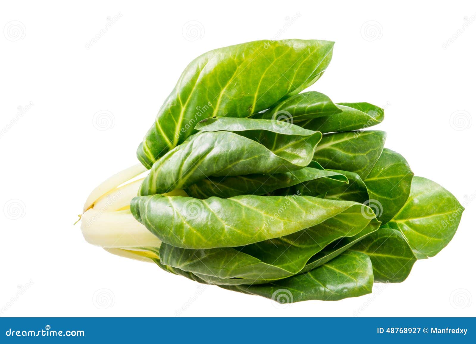 Isolated Mangold stock image. Image of nutrition, green - 48768927