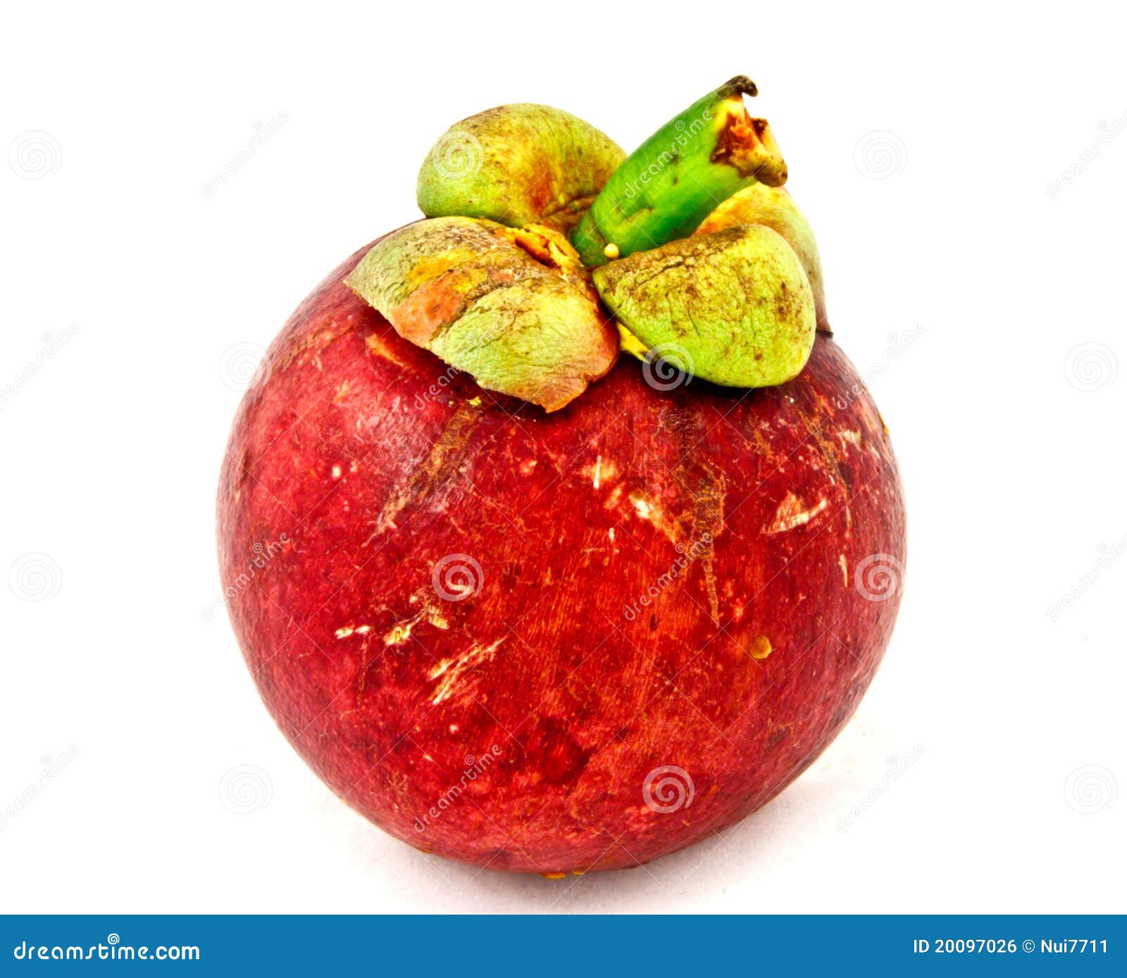 Isolated mangosteen stock photo. Image of exotic, garcinia - 20097026