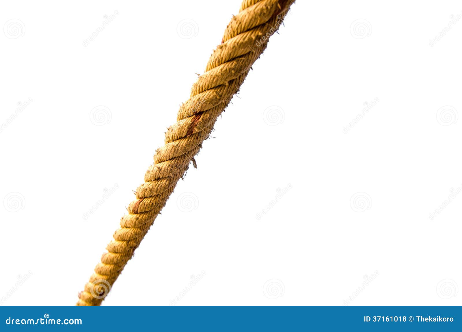 Isolated Manila Rope Stock Photo | CartoonDealer.com #37161018