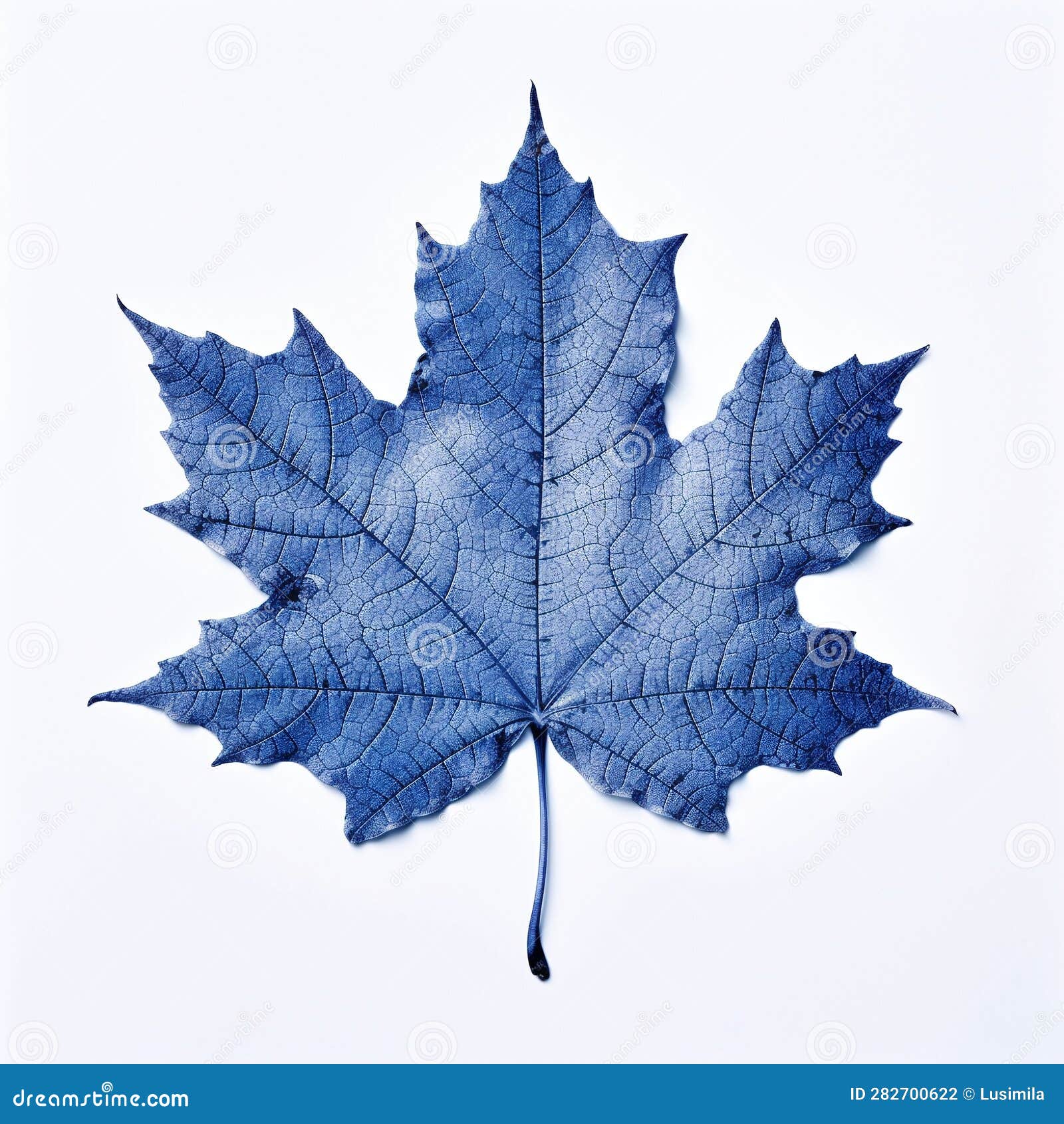Isolated Maple Leaf. Generative Ai Stock Photo - Image of autumn, leaf ...