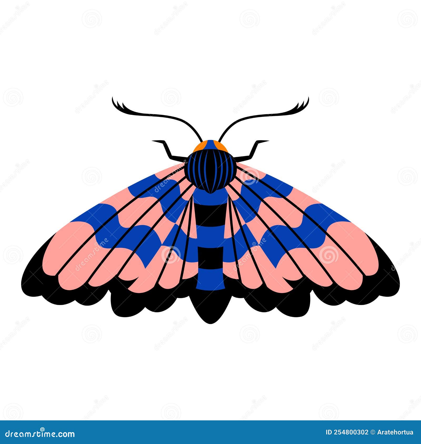 Isolated Moth Summer Insect Animal Vector Stock Vector - Illustration ...
