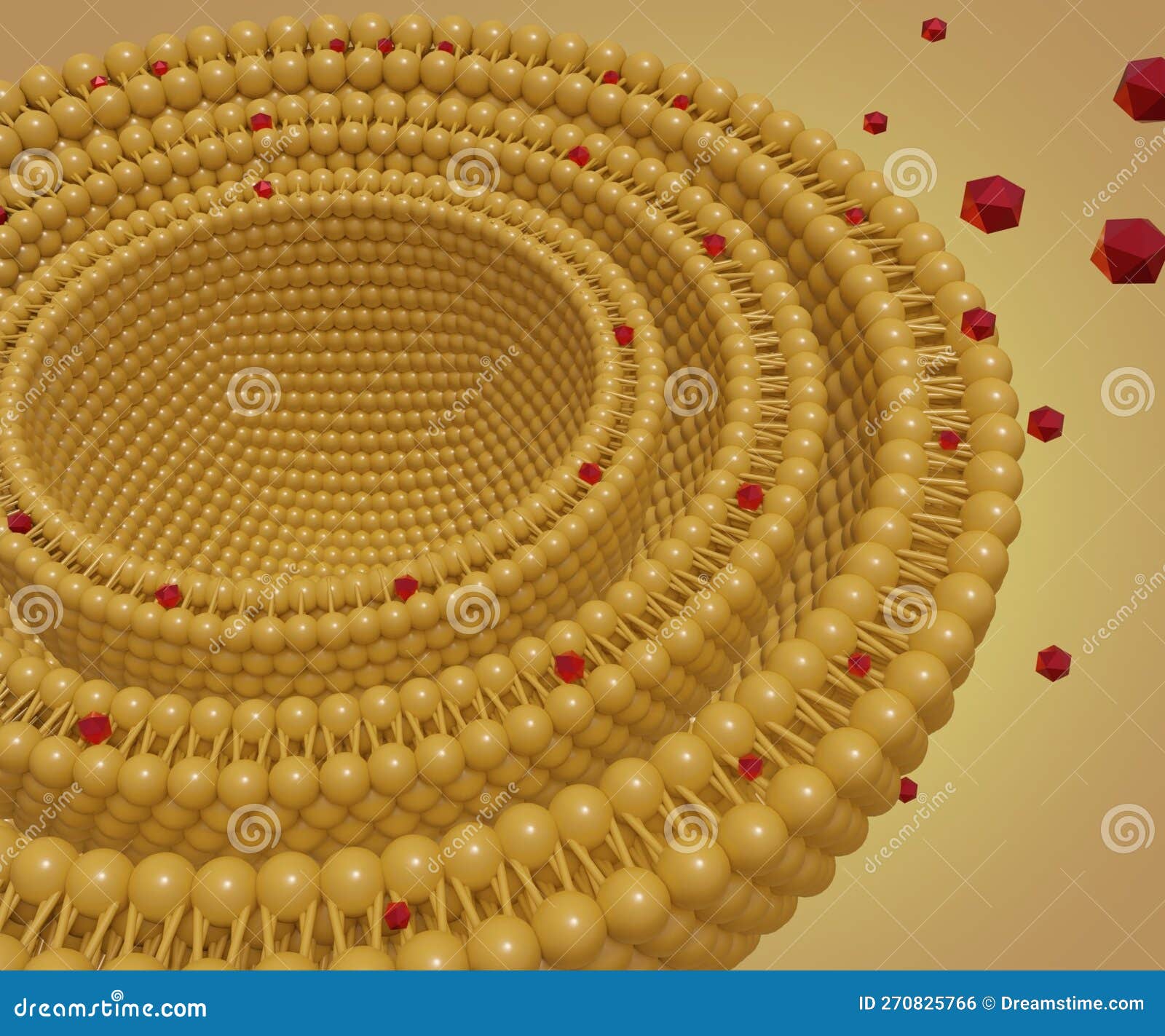 Isolated Multi Lamellar Vesicle With Scattered Hydrophobic Nanodrugs ...