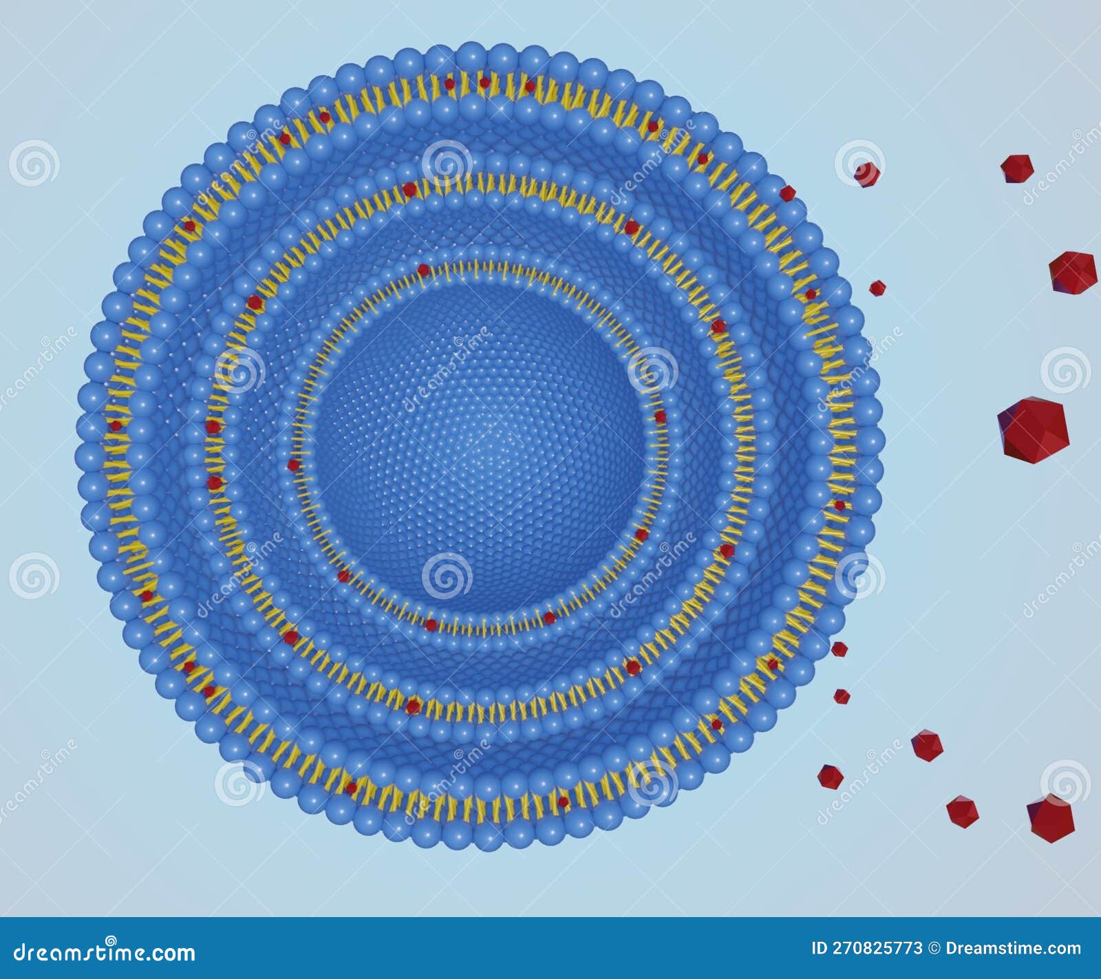 Isolated Multi Lamellar Vesicle with Scattered Hydrophobic Nanodrugs ...