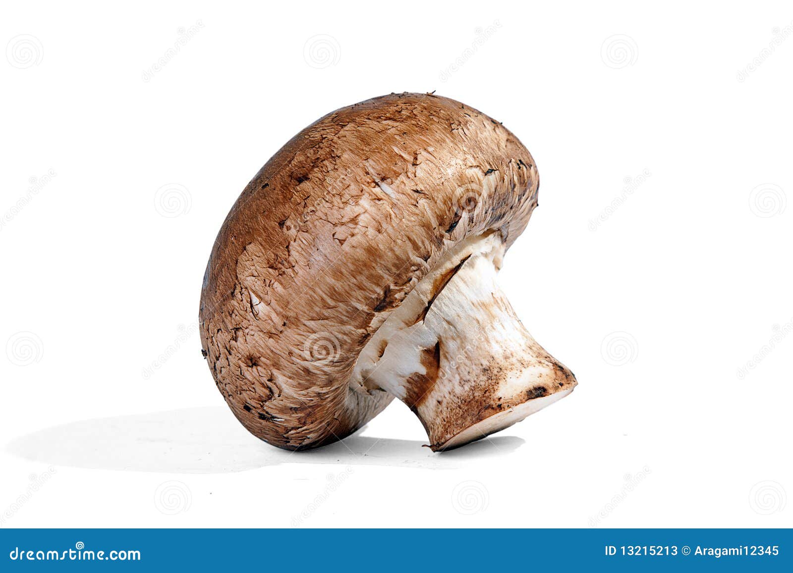 Isolated mushroom stock image. Image of taste, freshness - 13215213