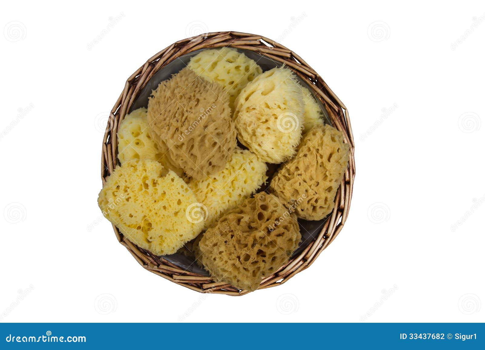 Isolated Natural Sea Sponges Stock Photo - Image of absorbent, shopping ...