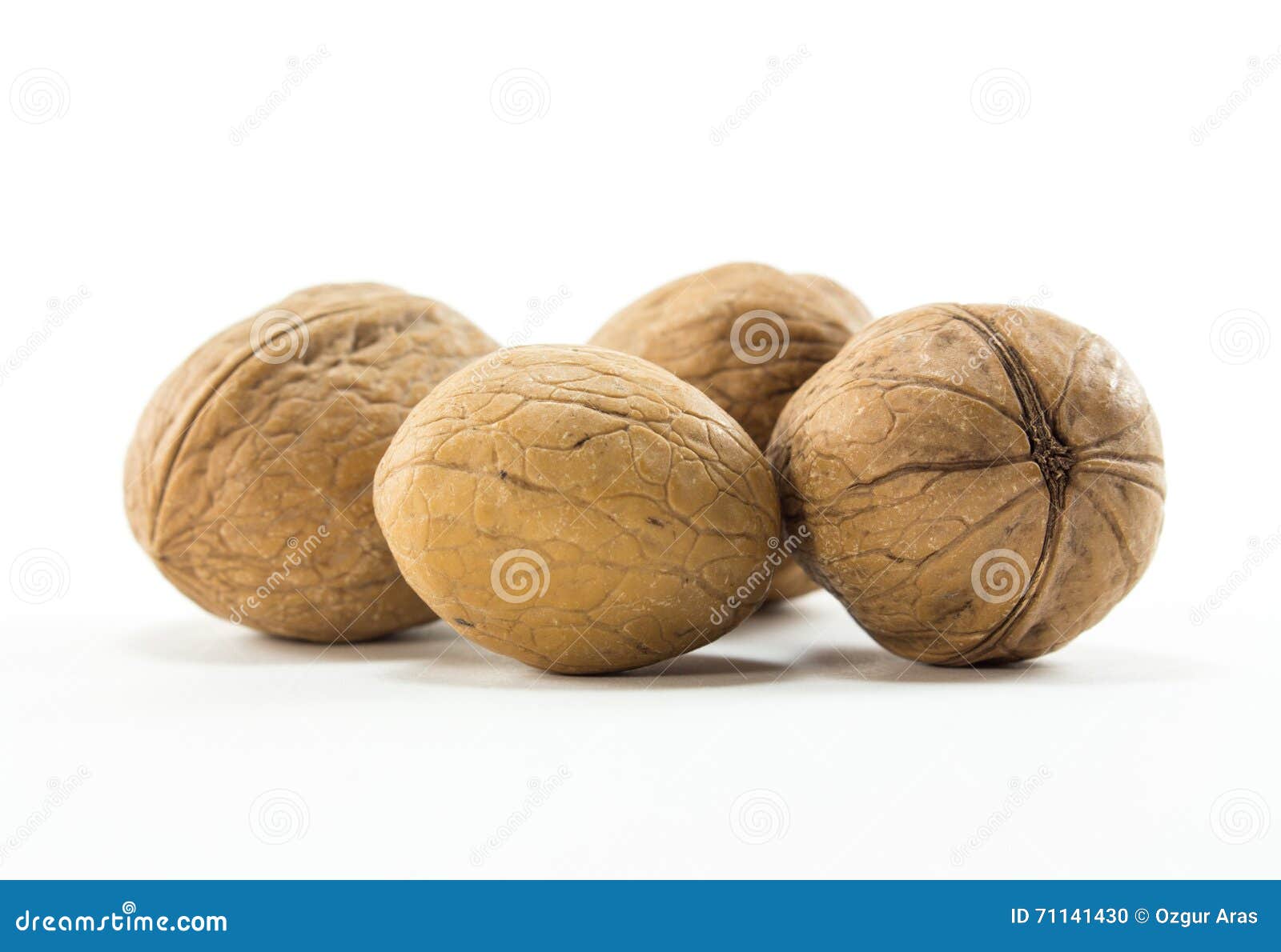 Isolated Natural Walnuts stock photo. Image of group - 71141430
