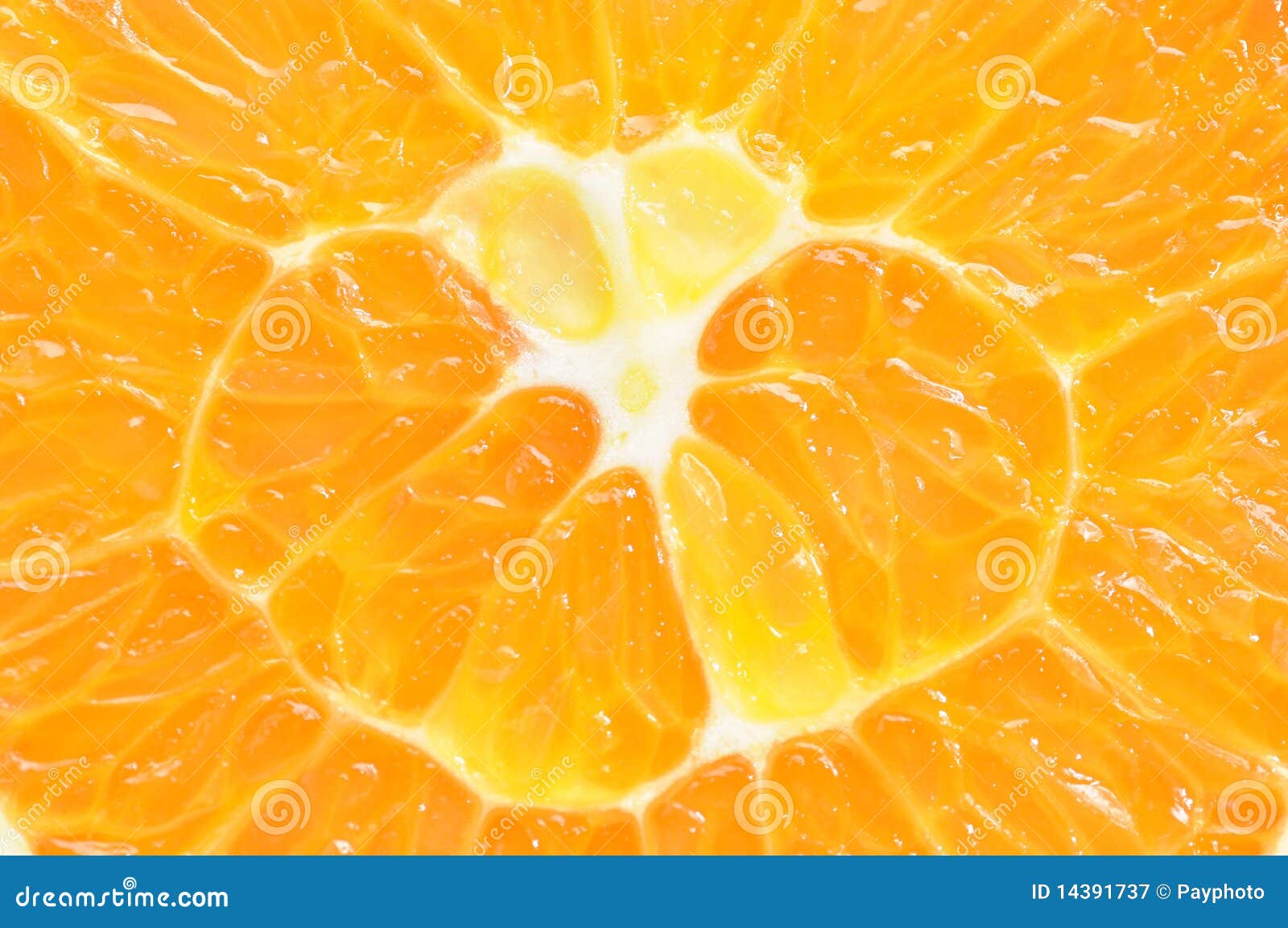 Isolated nature orange stock image. Image of taste, nutrition - 14391737