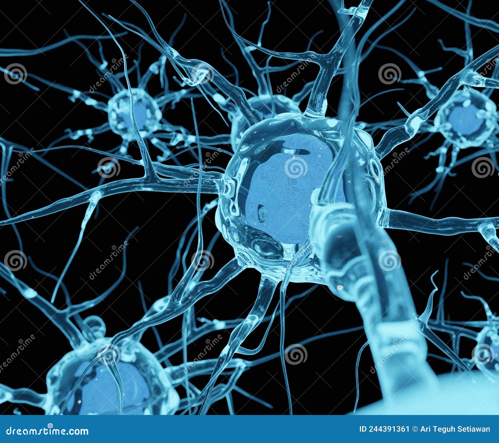 Isolated Neuron or Nerve Cell is an Electrically Excitable Cell. it ...