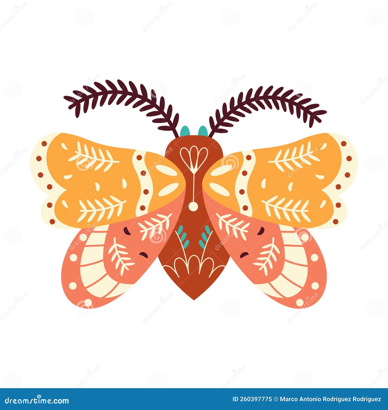Isolated Neutral Colored Moth with Patterns Vector Stock Vector ...