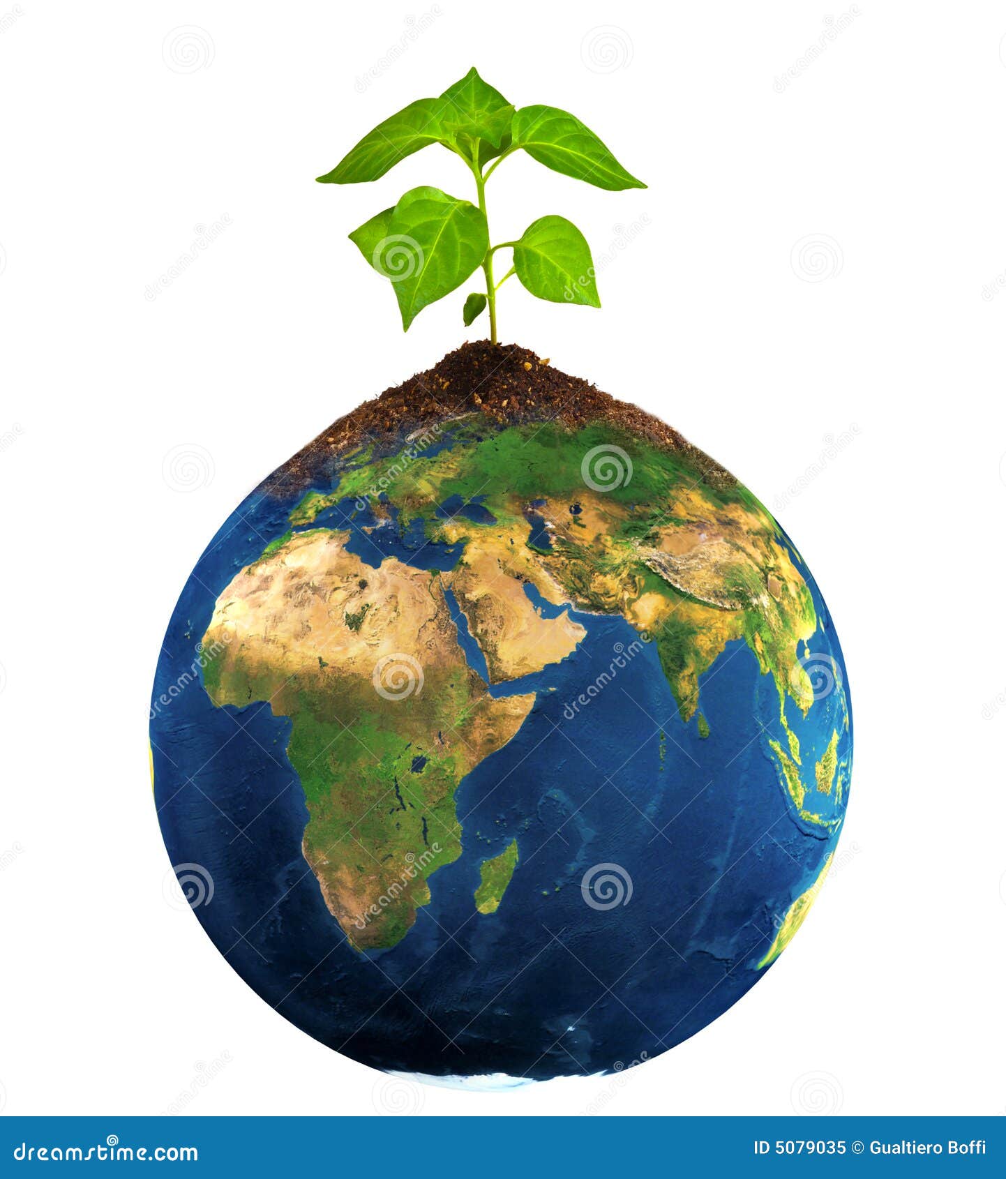 Isolated New Plant on Earth Stock Image - Image of baby, colors: 5079035