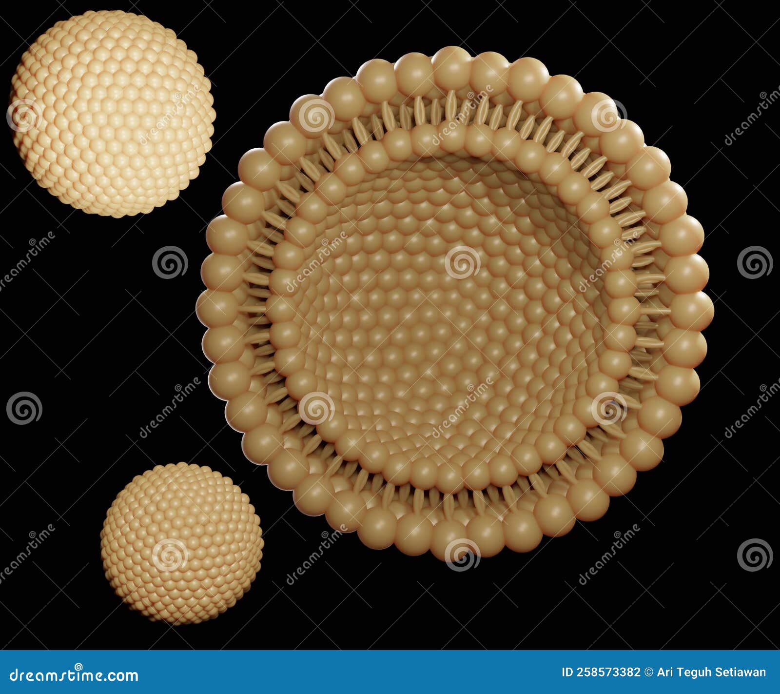 Isolated Niosomes are the Microscopic Lamellar Structures Stock ...