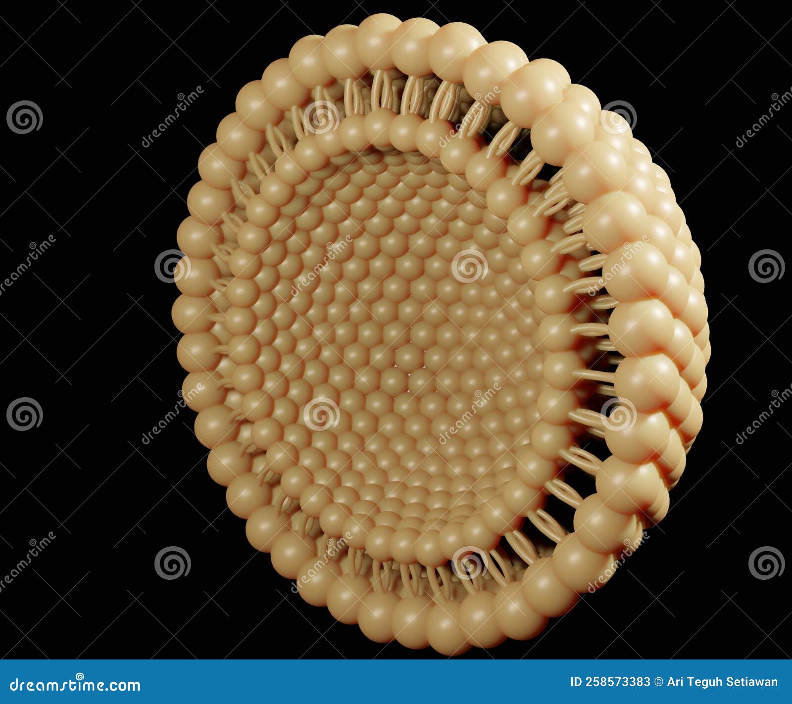 Isolated Niosomes are the Microscopic Lamellar Structures Stock ...