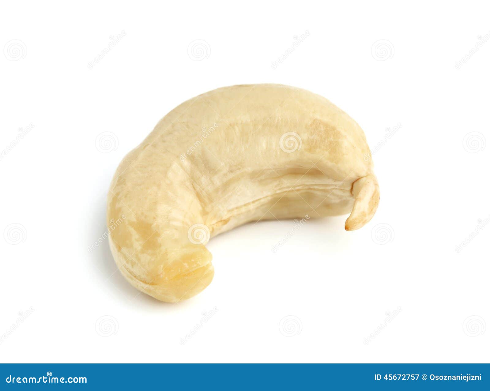 Isolated nut of cashew. stock image. Image of cashew - 45672757