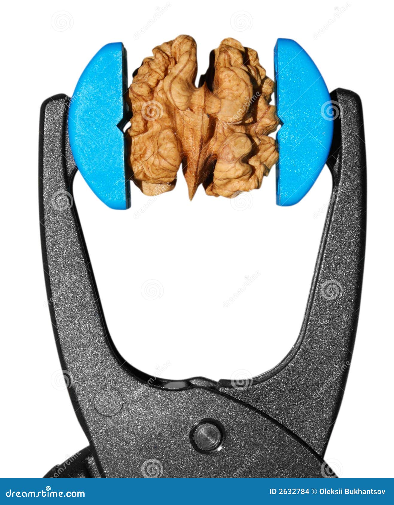 Isolated nut in grip vice stock photo. Image of deadline - 2632784