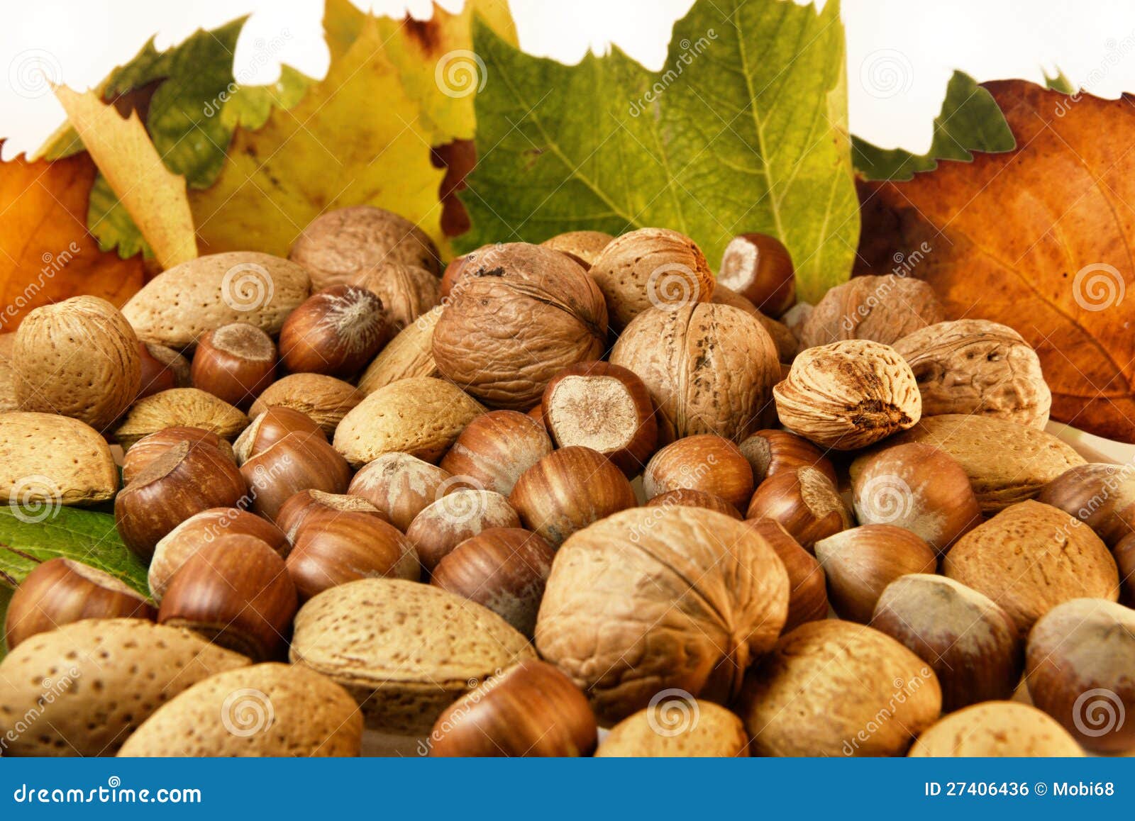Isolated Nuts and Autumn Leaves Stock Photo - Image of autumn, walnut ...