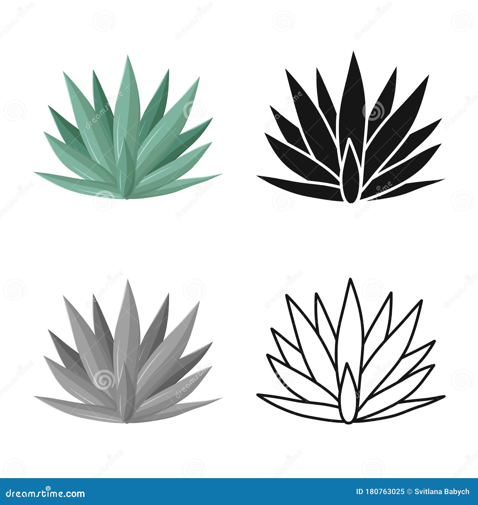 Agave Blue Plant In Flat Style. Vector Illustration Isolated On White ...