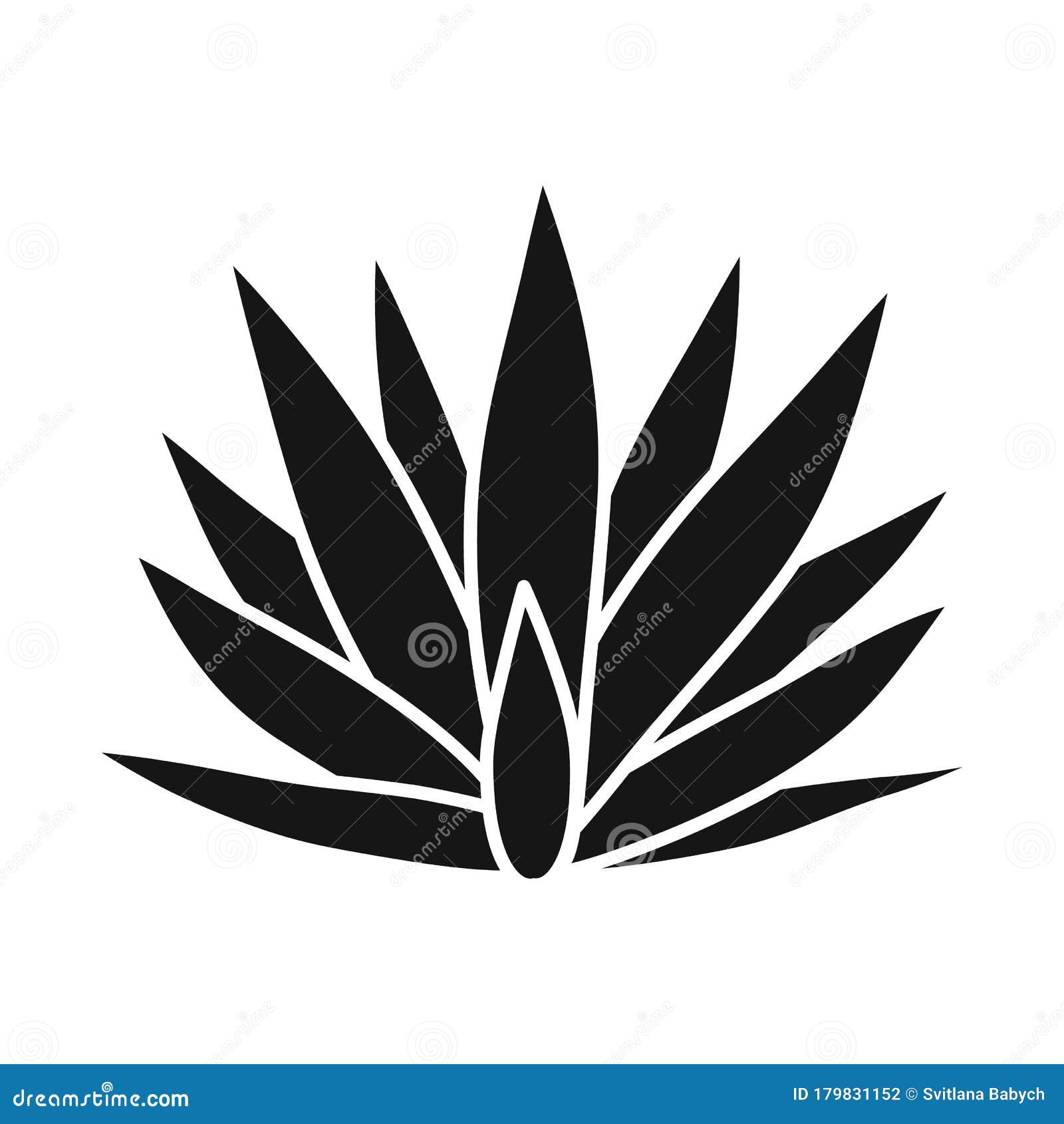 Isolated Object of Agave and Tequila Logo. Graphic of Agave and Blue ...