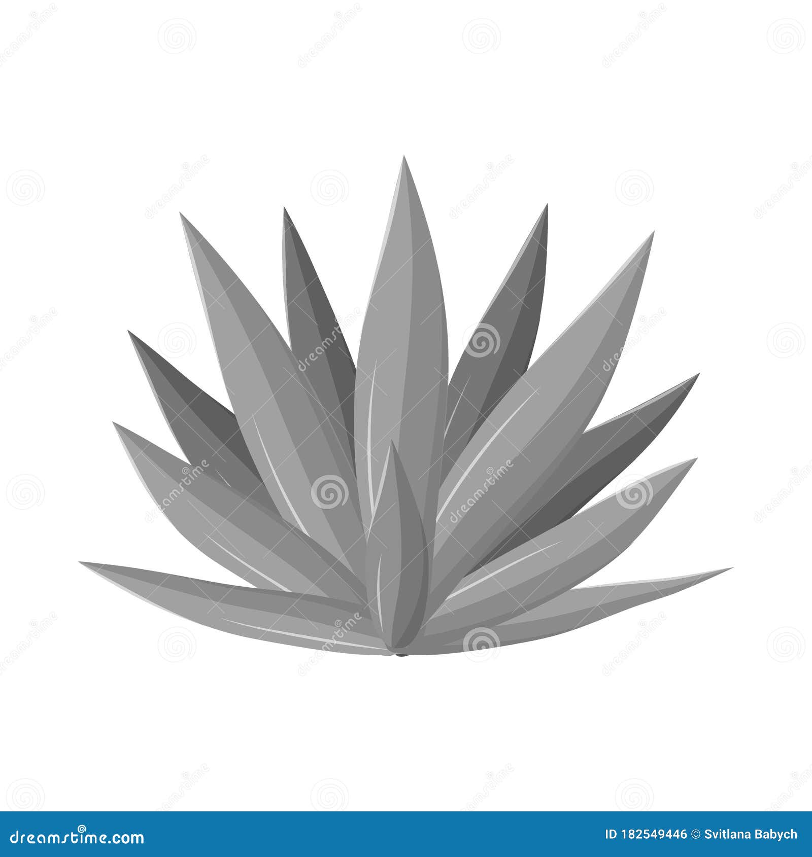 Isolated Object of Agave and Tequila Logo. Web Element of Agave and ...
