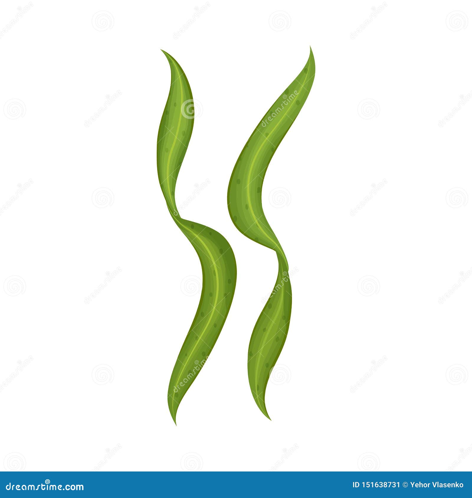 Isolated Object of Algae and Seafood Sign. Set of Algae and Ocean ...