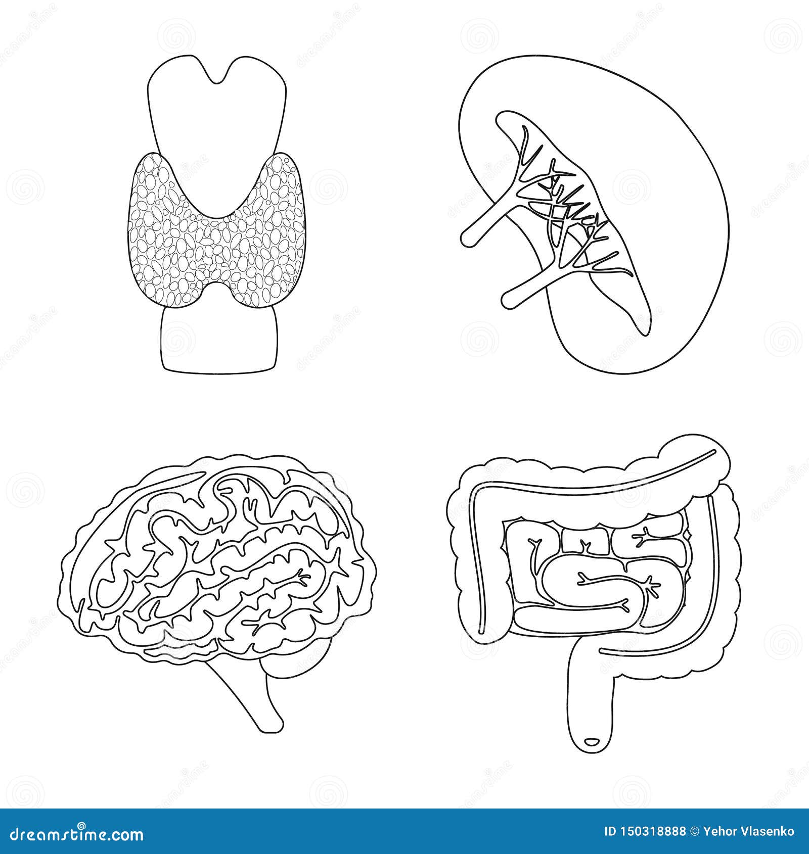 Isolated Object of Anatomy and Organ Logo. Set of Anatomy and Medical ... Isolated Object of Anatomy and Organ Logo. Set of Anatomy and Medical ...