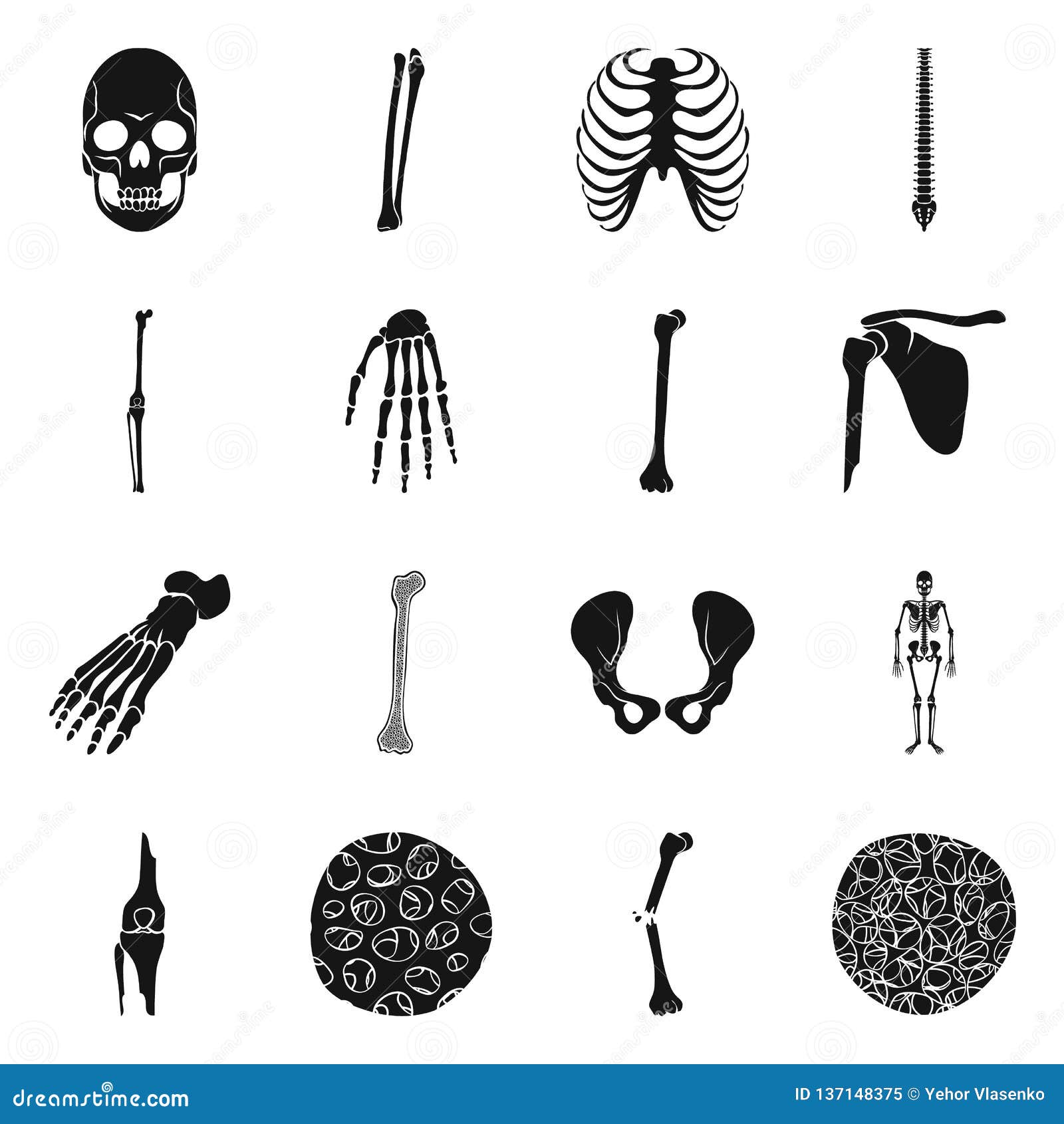 Isolated Object of Bone and Skeleton Sign. Set of Bone and Human Vector ...