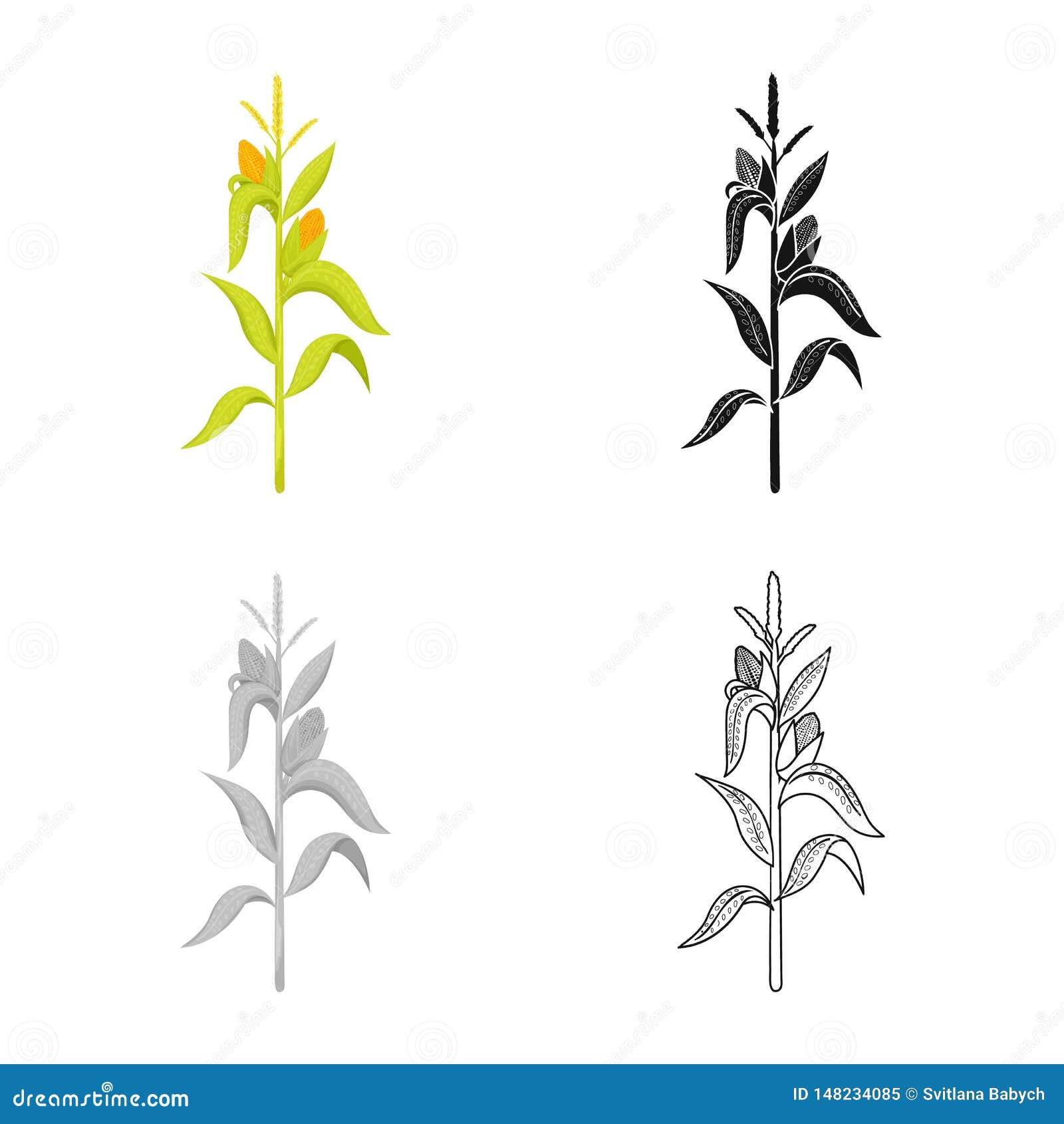 Isolated Object of Corn and Stalk Logo. Set of Corn and Field Stock ...