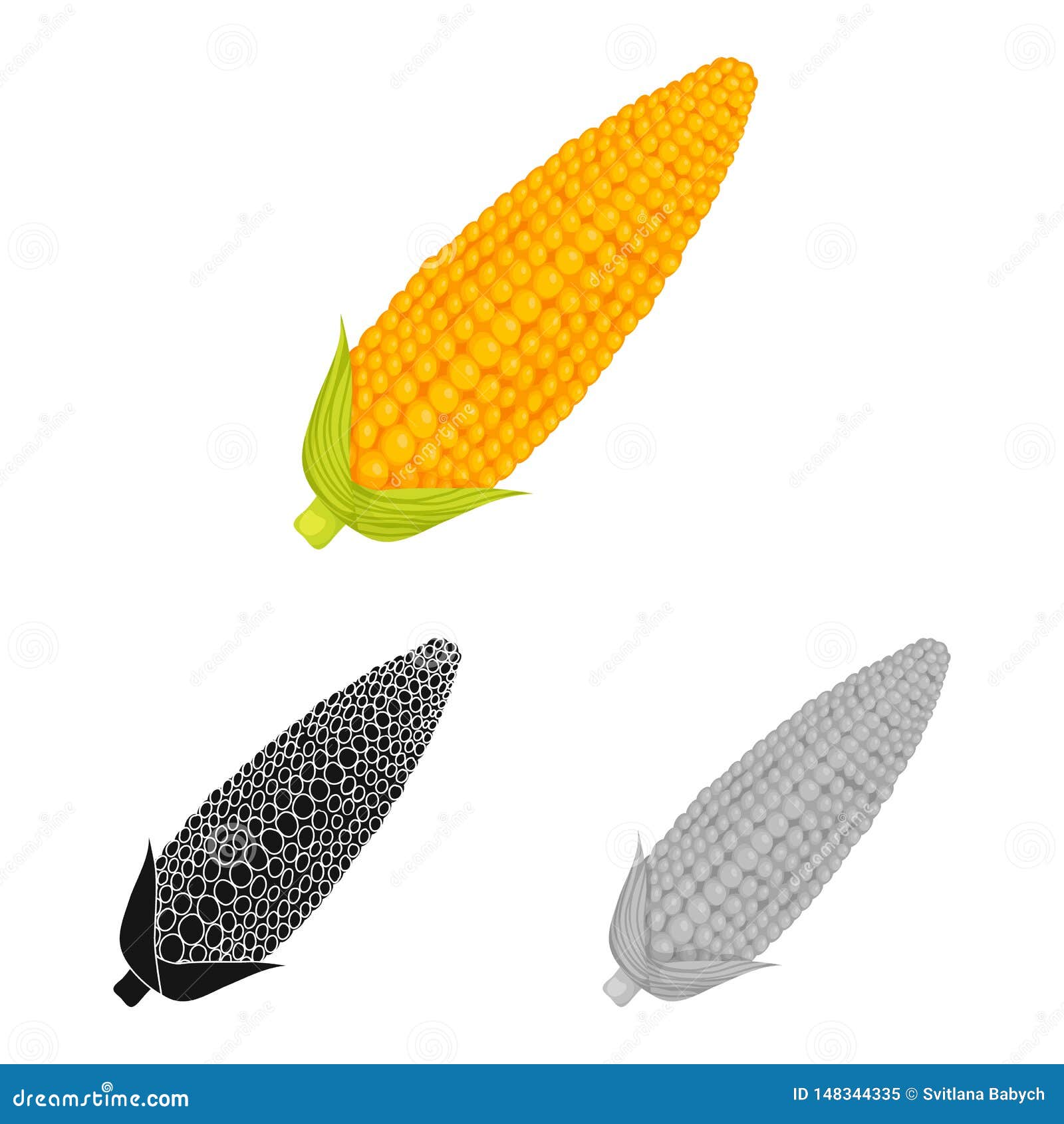Vector Illustration of Corn and Sweetcorn Icon. Set of Corn and Ripe ...