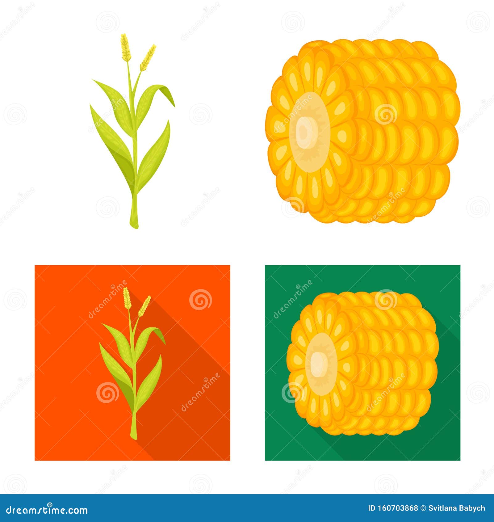 Isolated Object of Cornfield and Vegetable Sign. Set of Cornfield and ...