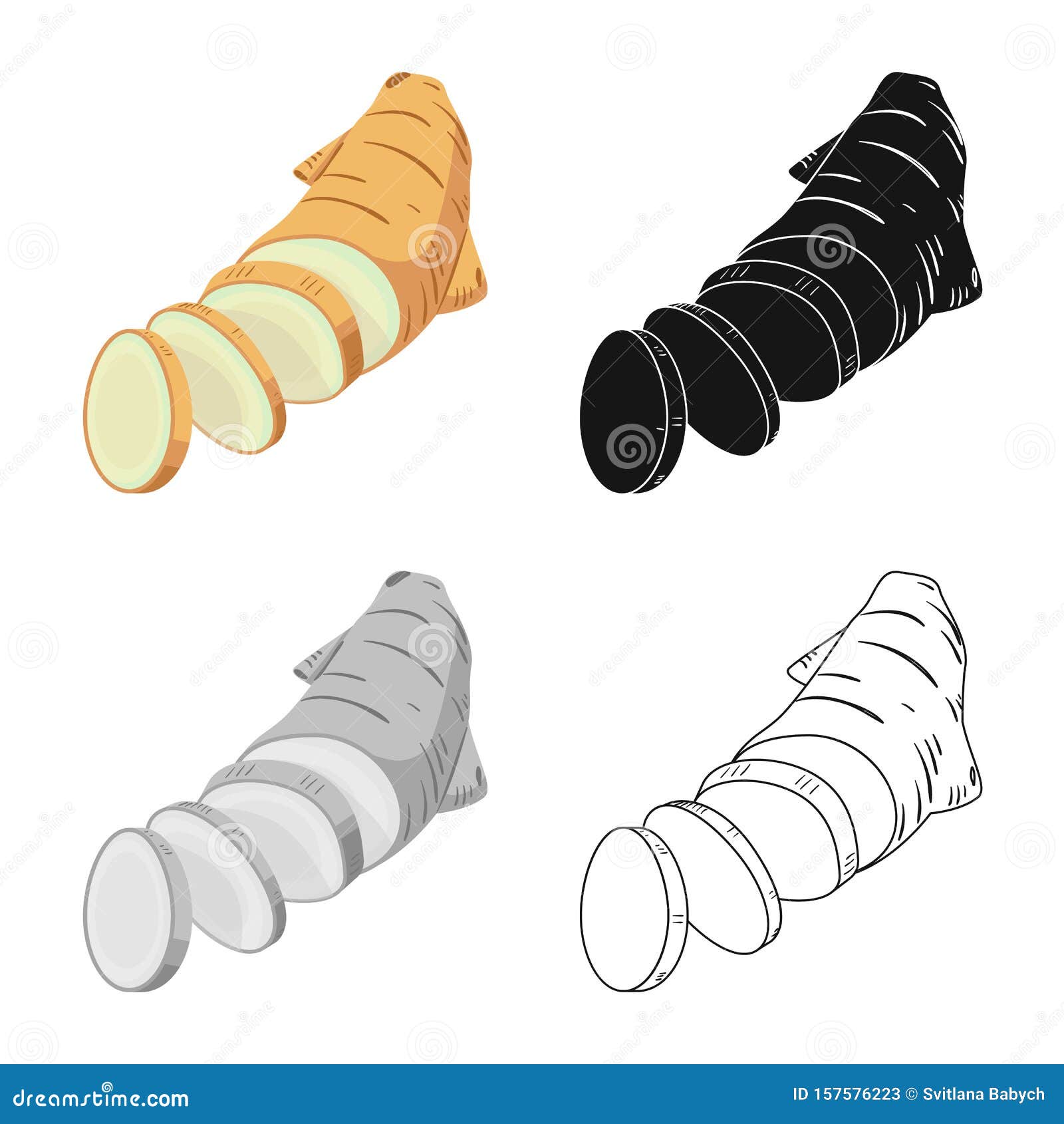 Vector Illustration of Ginger and Root Icon. Collection of Ginger and ...