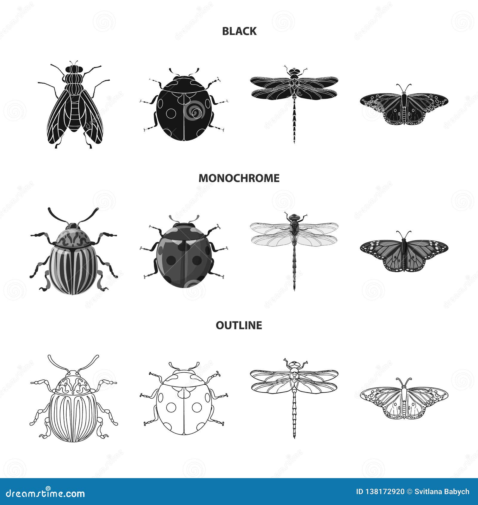 Vector Illustration of Insect and Fly Symbol. Set of Insect and Element ...