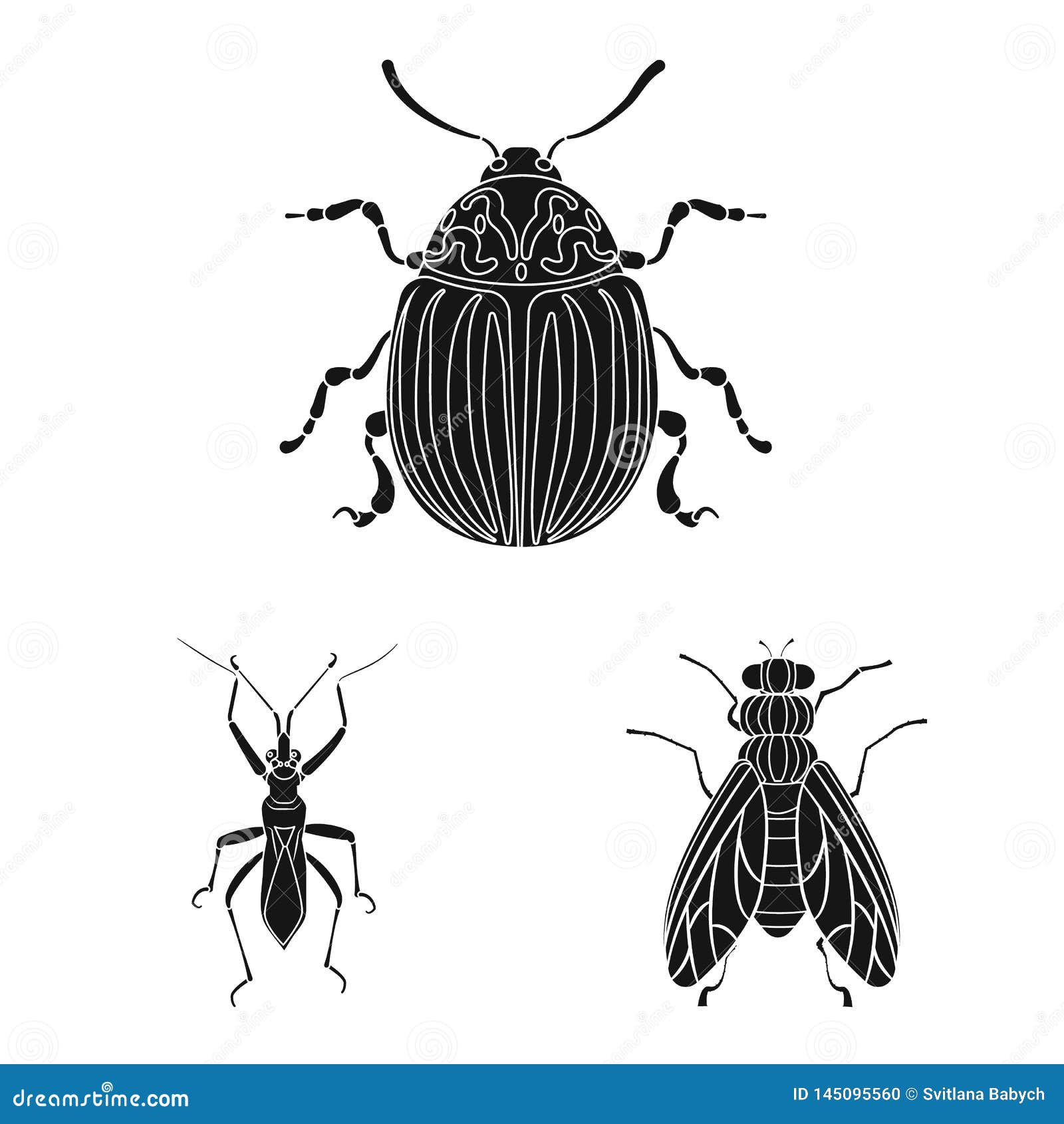 Vector Illustration of Insect and Fly Symbol. Collection of Insect and ...