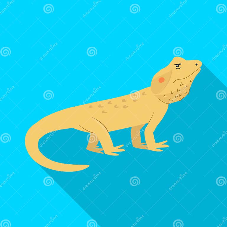 Vector Illustration of Lizard and Agama Sign. Set of Lizard and ...