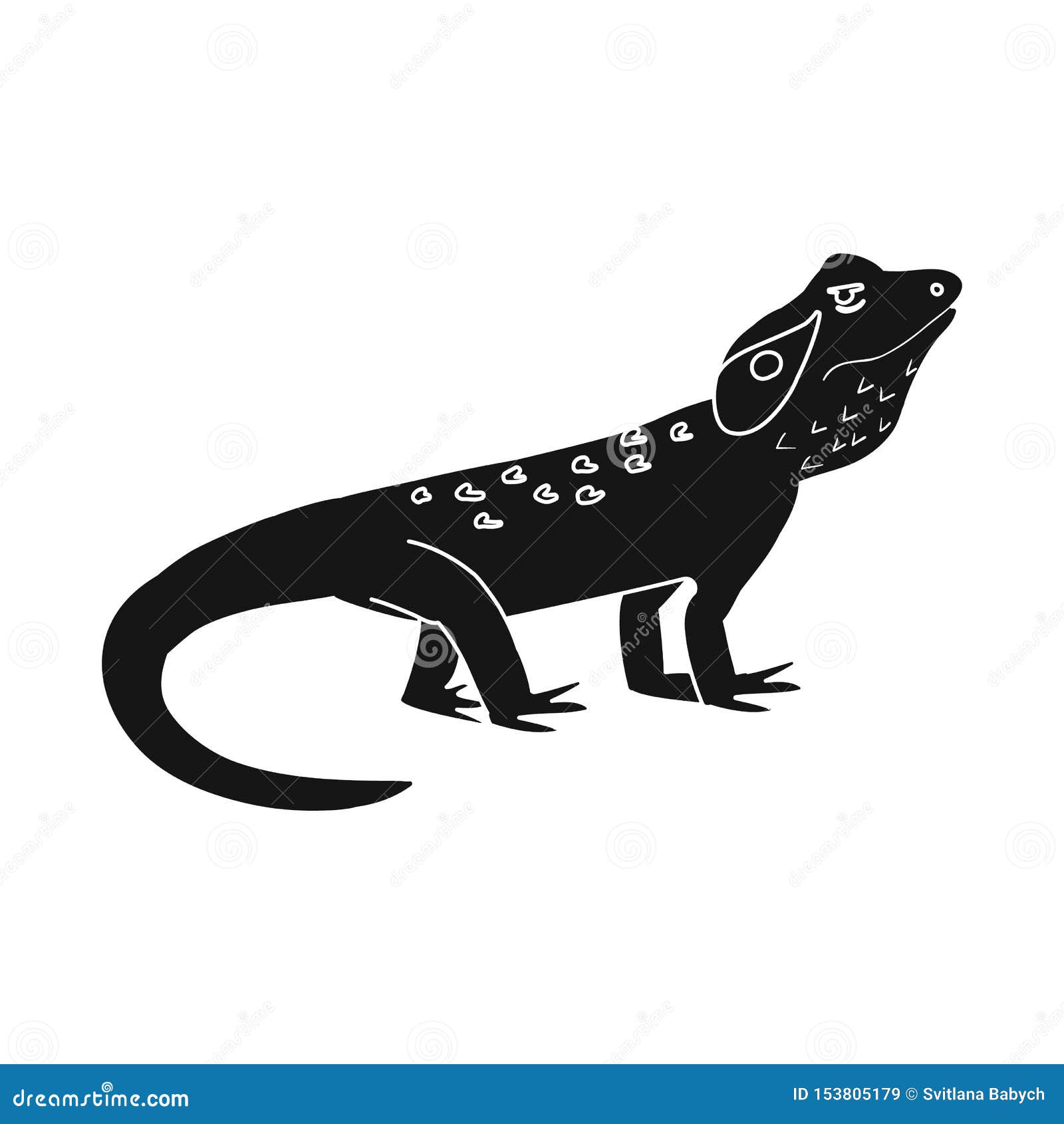 Vector Illustration of Lizard and Agama Icon. Collection of Lizard and ...