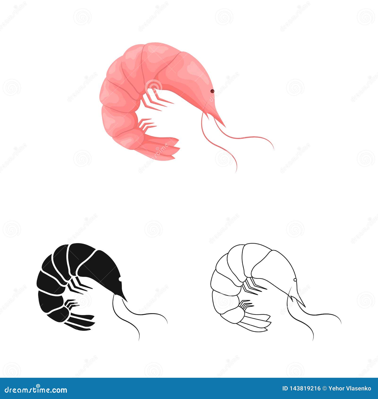 Vector Illustration of Prawn and Creature Sign. Set of Prawn and Fresh ...