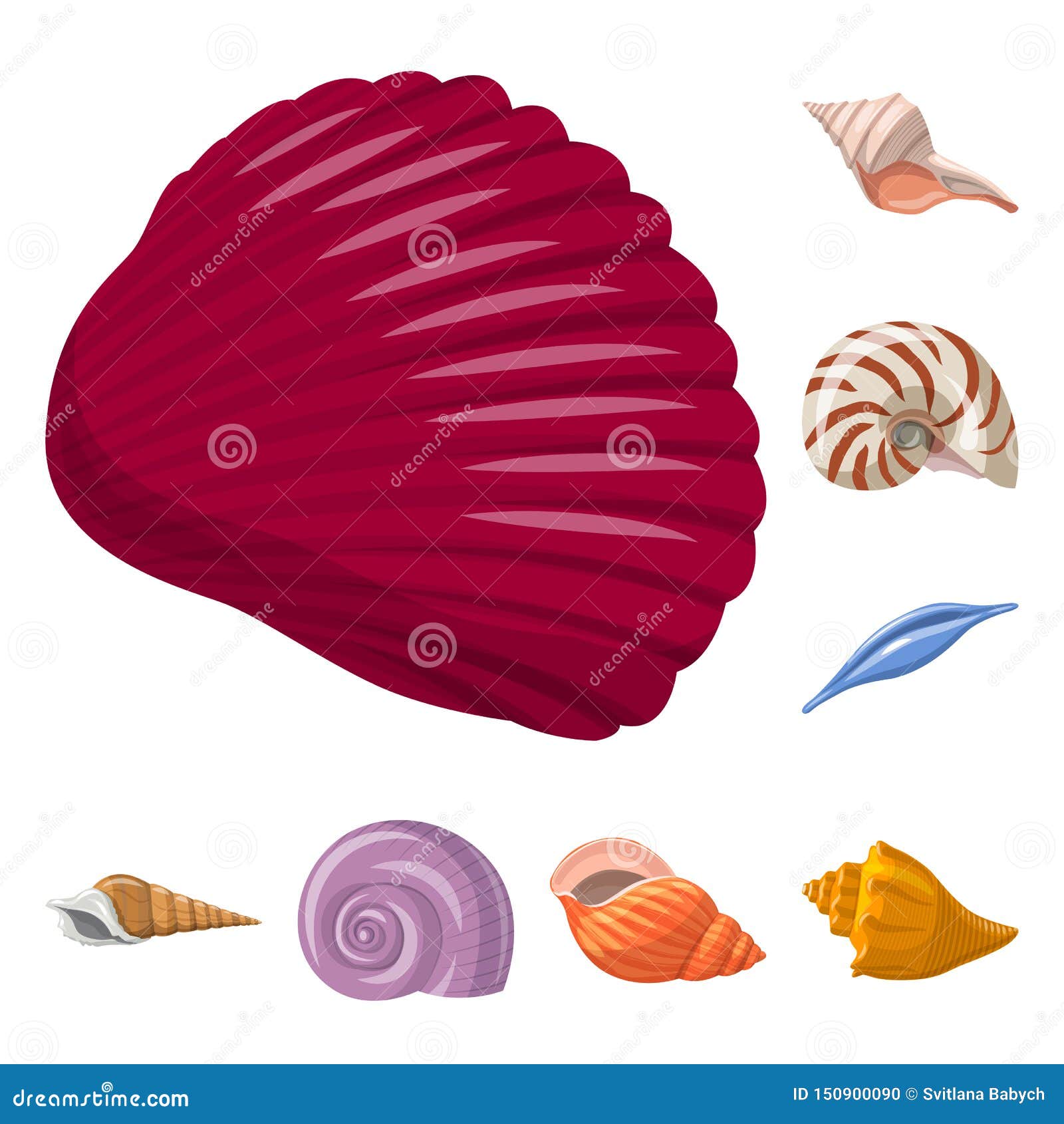 Isolated Object of Seashell and Mollusk Icon. Set of Seashell and ...