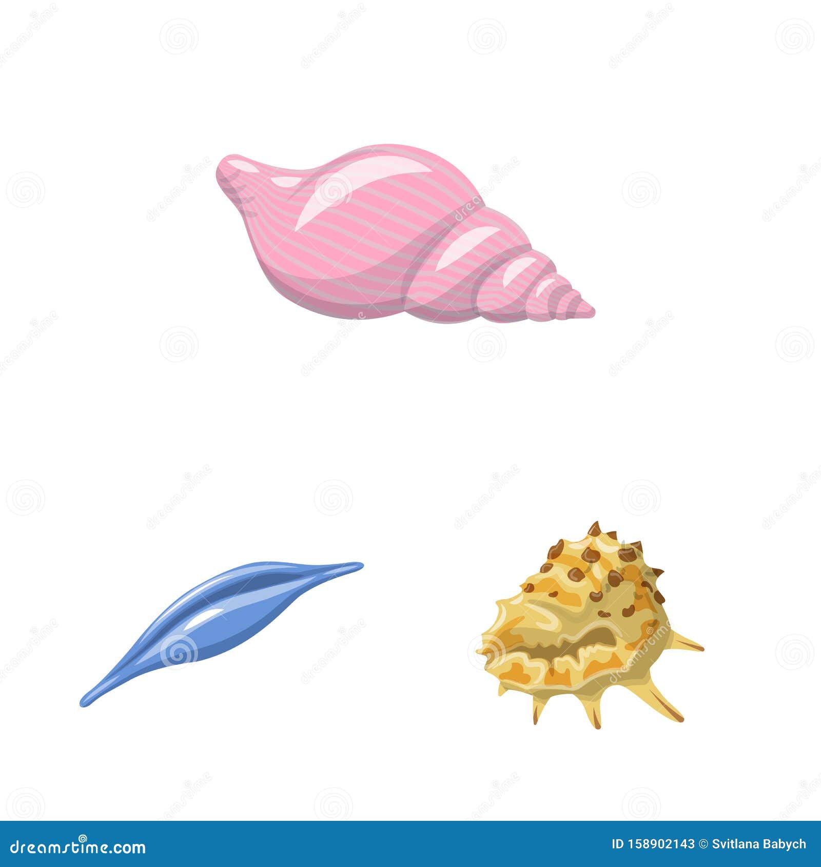Isolated Object of Seashell and Mollusk Sign. Set of Seashell and ...