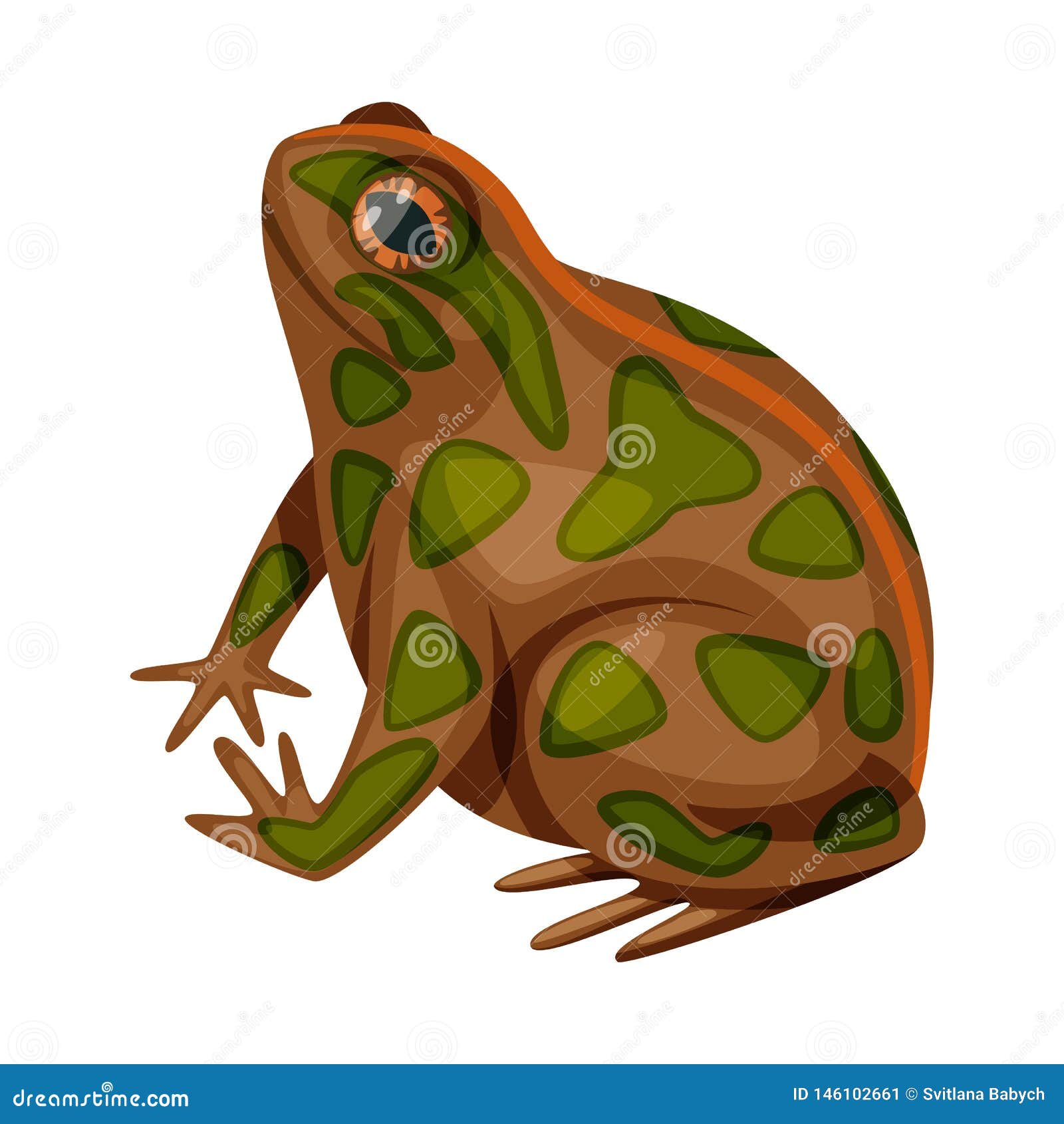 Isolated Object of Toad and Biology Sign. Collection of Toad and ...