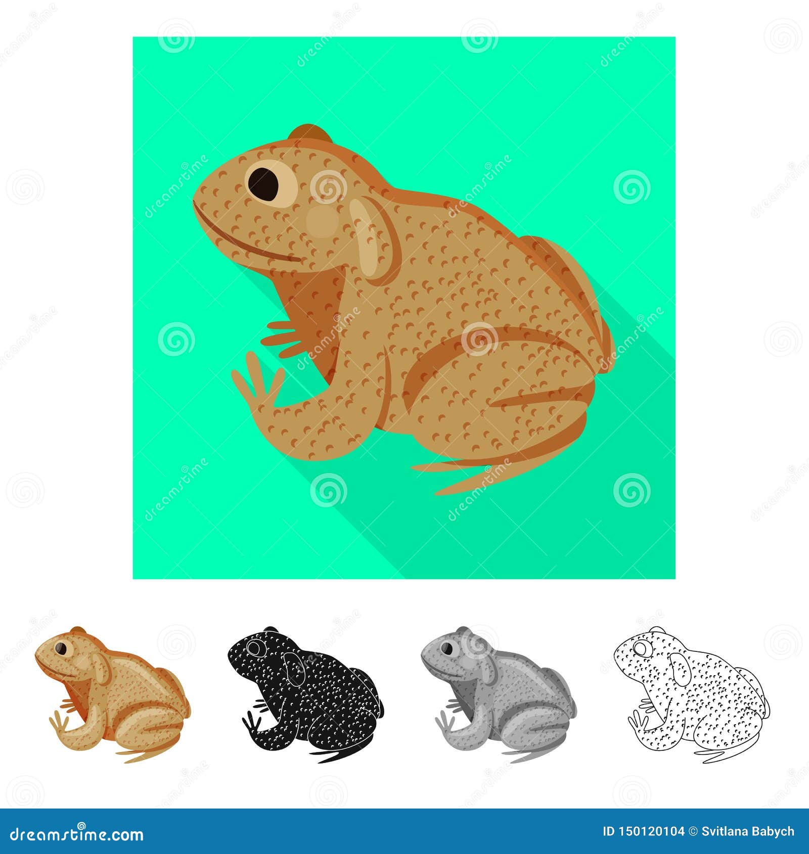 Vector Illustration of Toad and Tropical Symbol. Collection of Toad and ...
