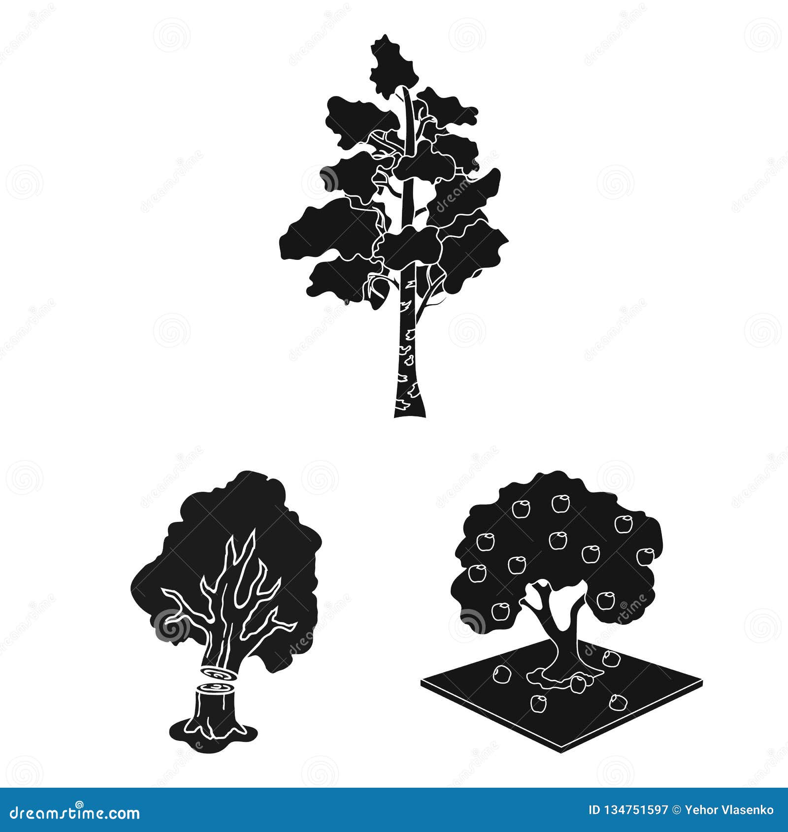 Isolated Object of Tree and Forest Symbol. Set of Tree and Green Stock ...