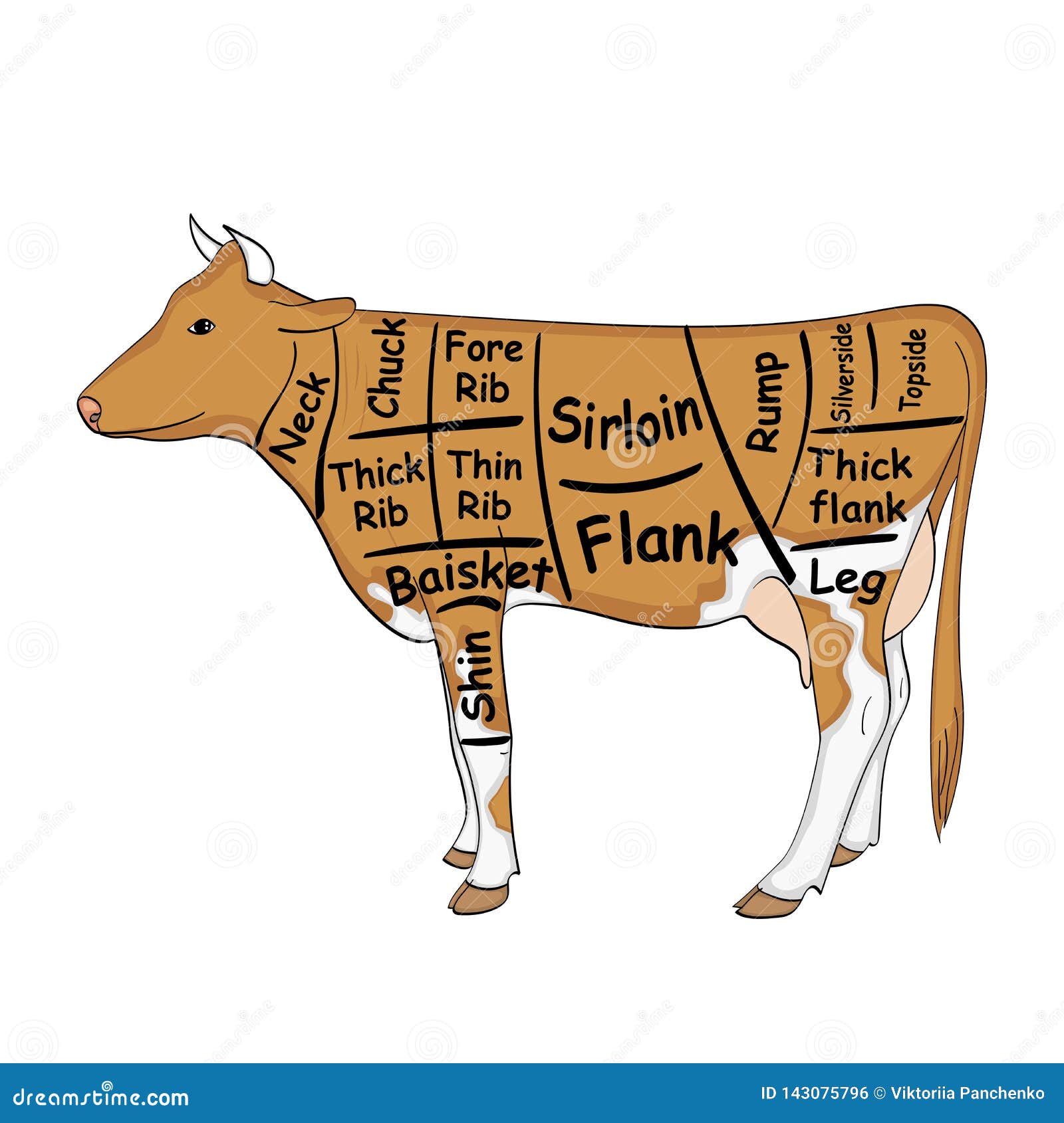 Beef Carcass Cartoon Vector 28566865