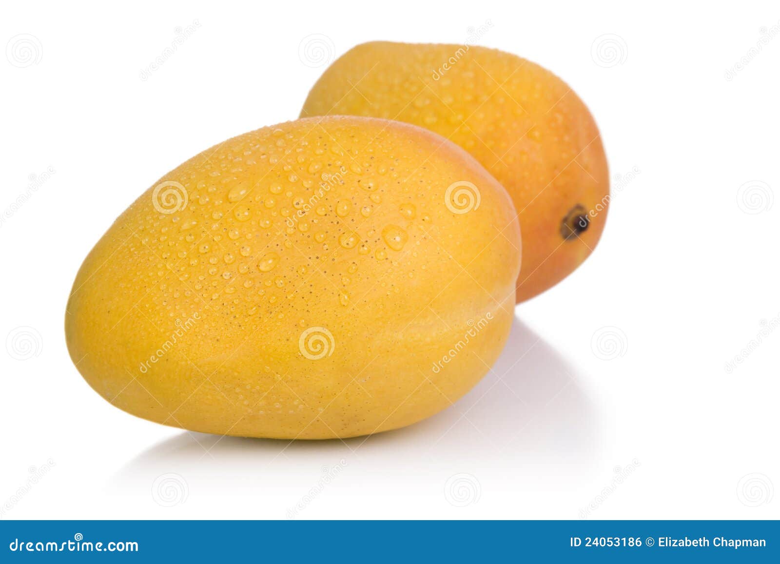 Isolated objects: mangoes stock photo. Image of healthy - 24053186